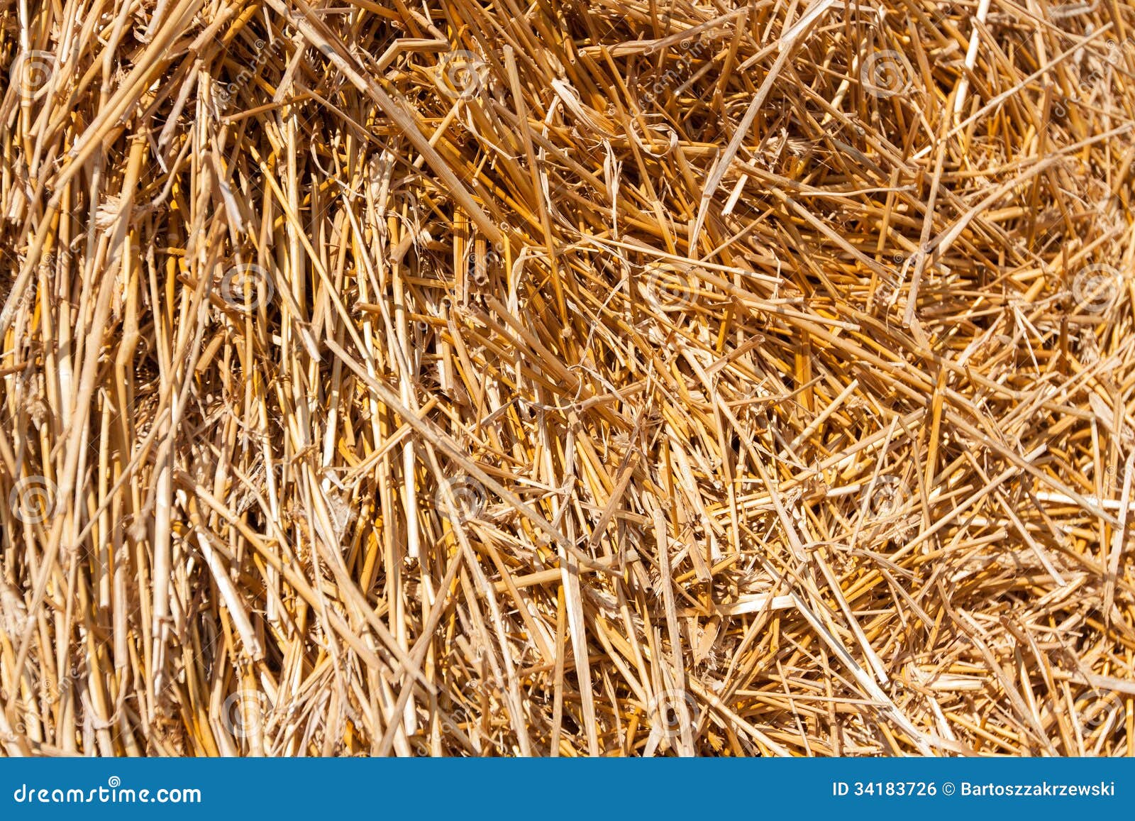 Golden hay bale collected stock photo. Image of compact - 34183726