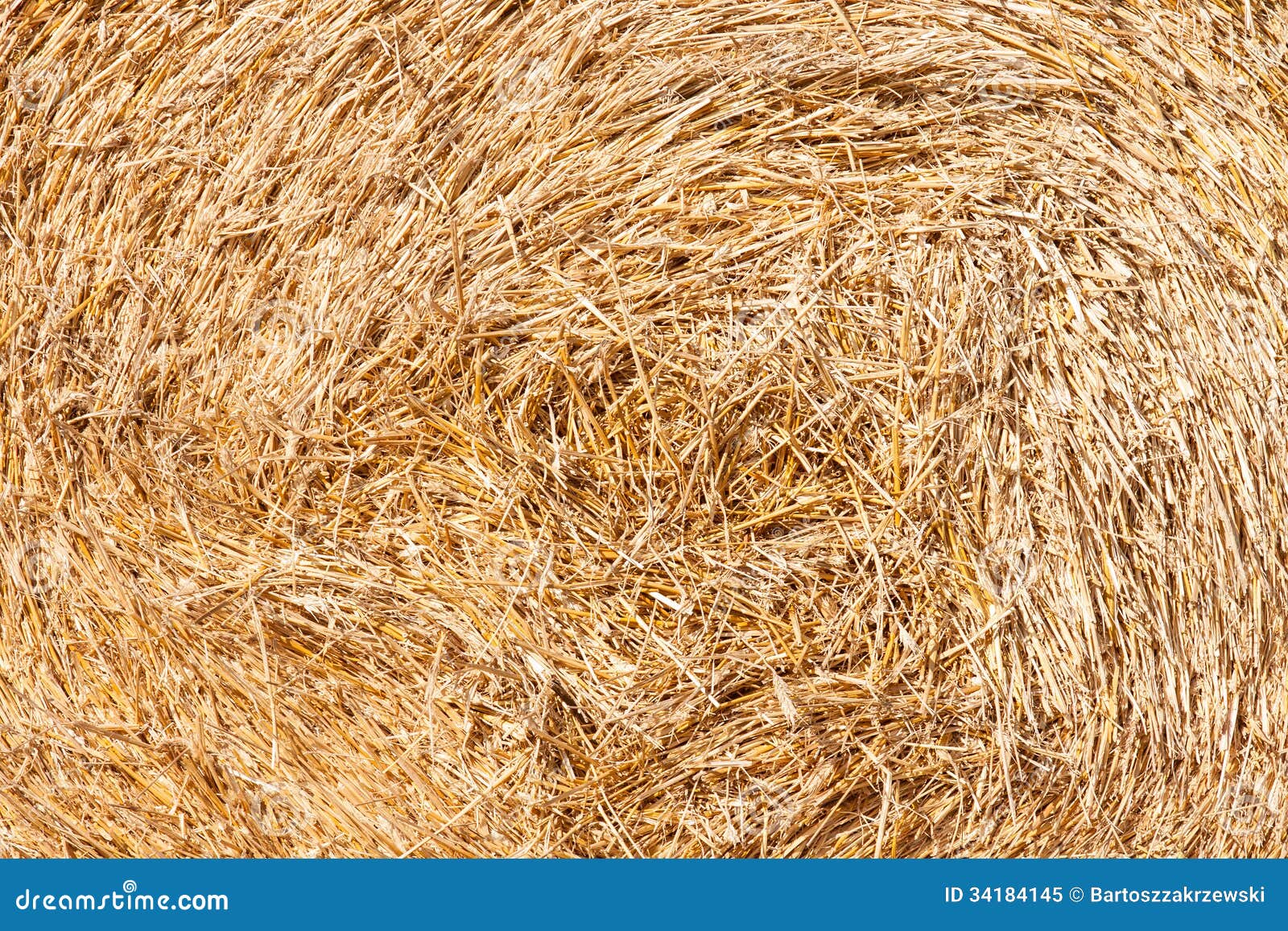 Golden hay bale collected stock image. Image of compact - 34184145