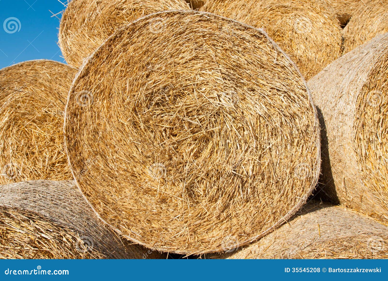 Golden hay bale collected stock photo. Image of bales - 35545208