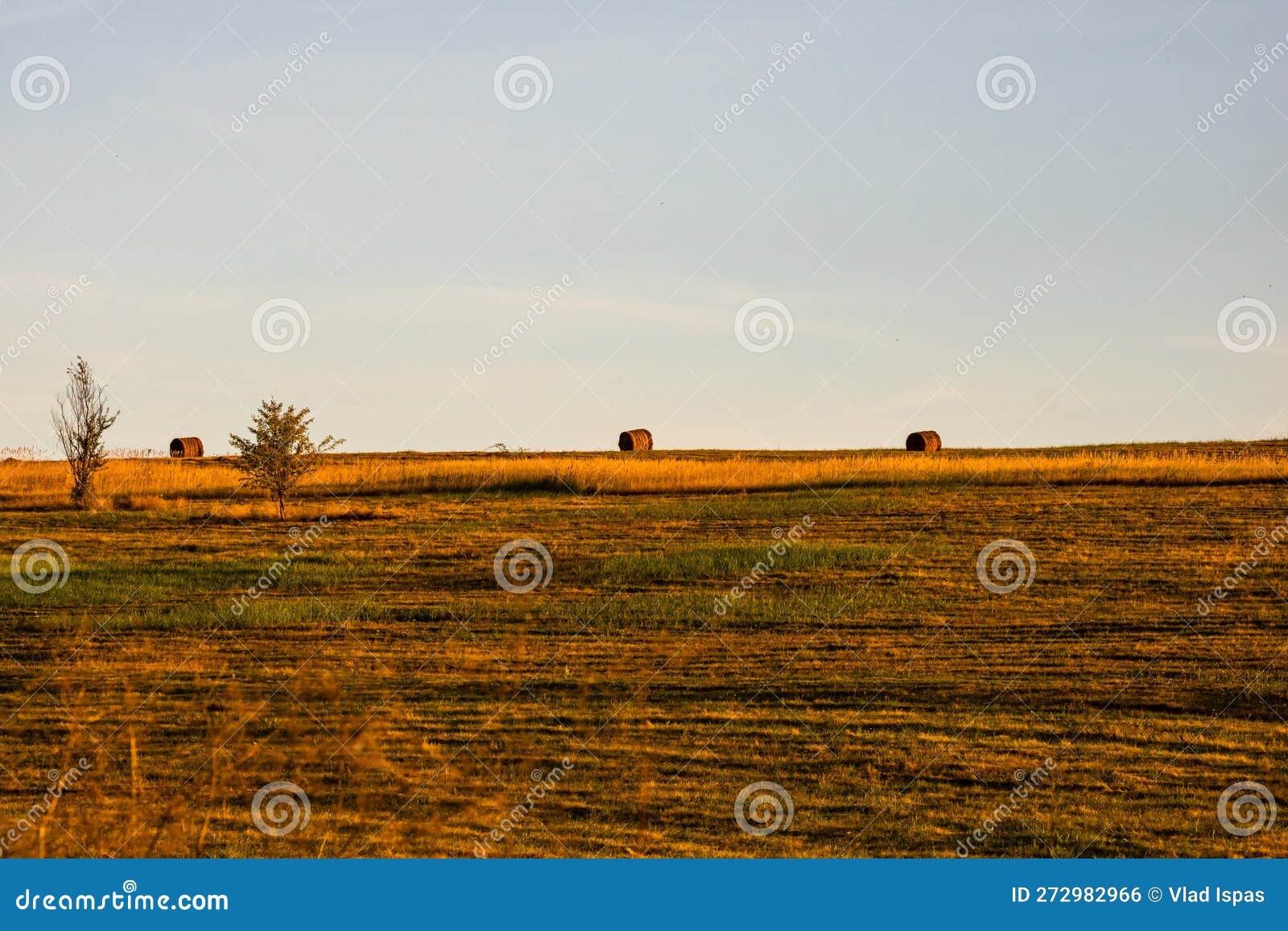 Golden Hay Bales. Agricultural Parcels of Different Crops and Hay Roll ...