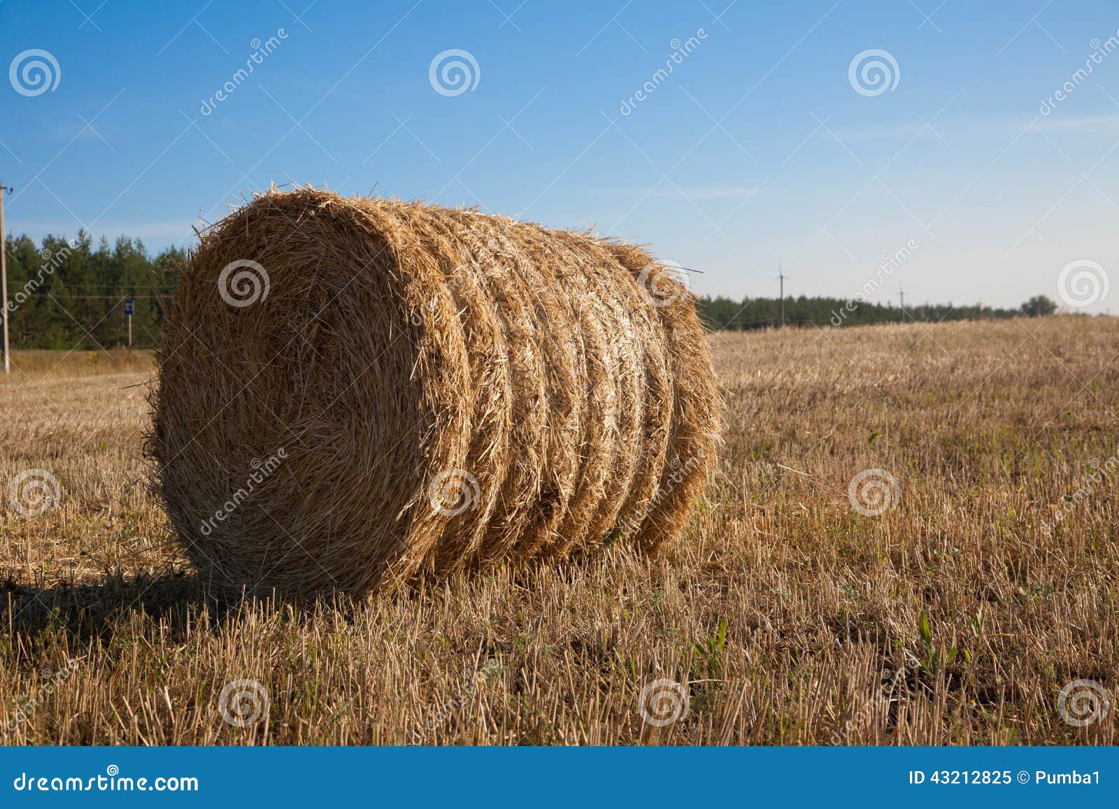 Golden Hay Bales in the Countryside. Stock Image - Image of outdoor ...
