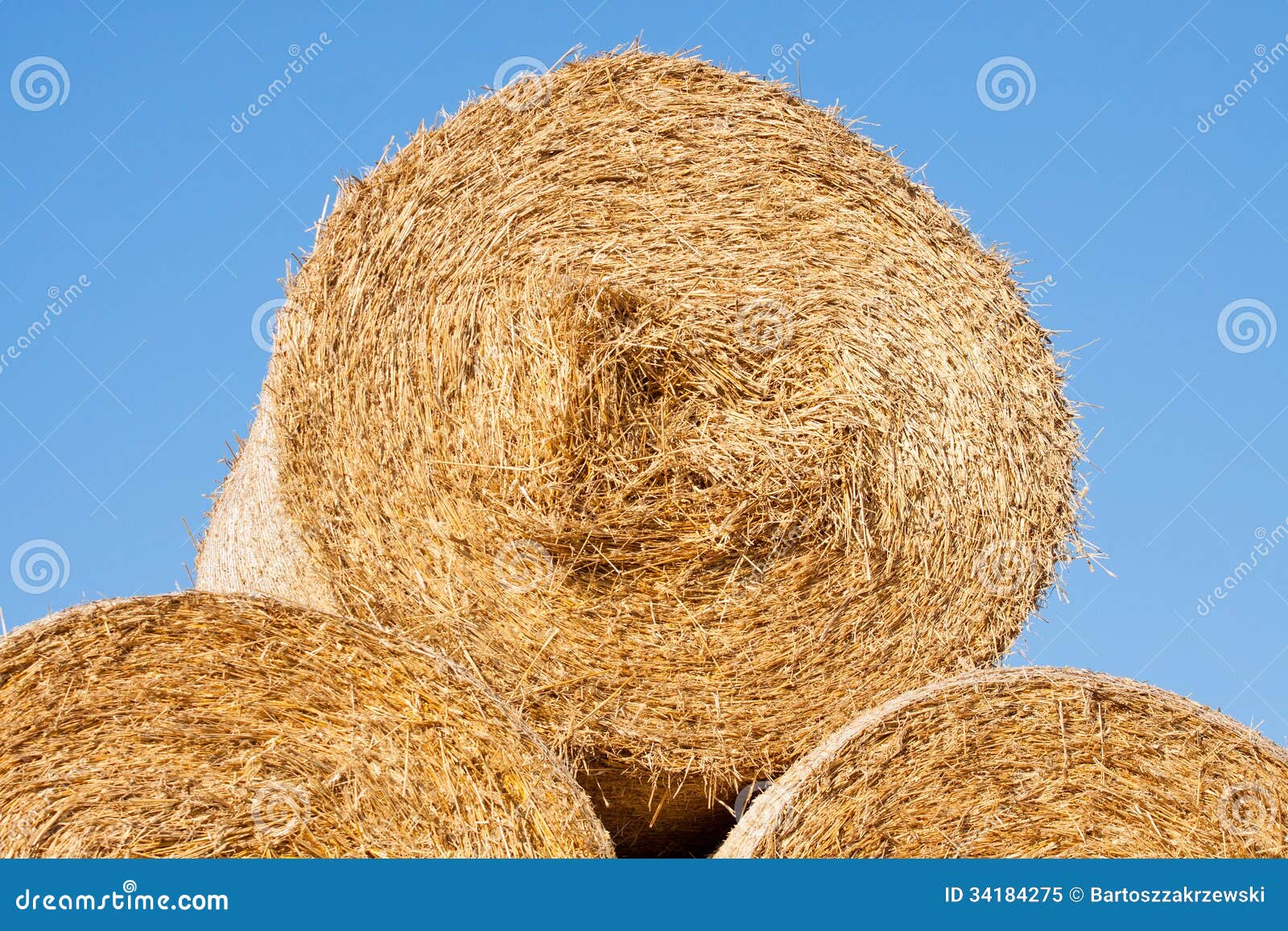 Golden hay bales harvested stock image. Image of golden - 34184275