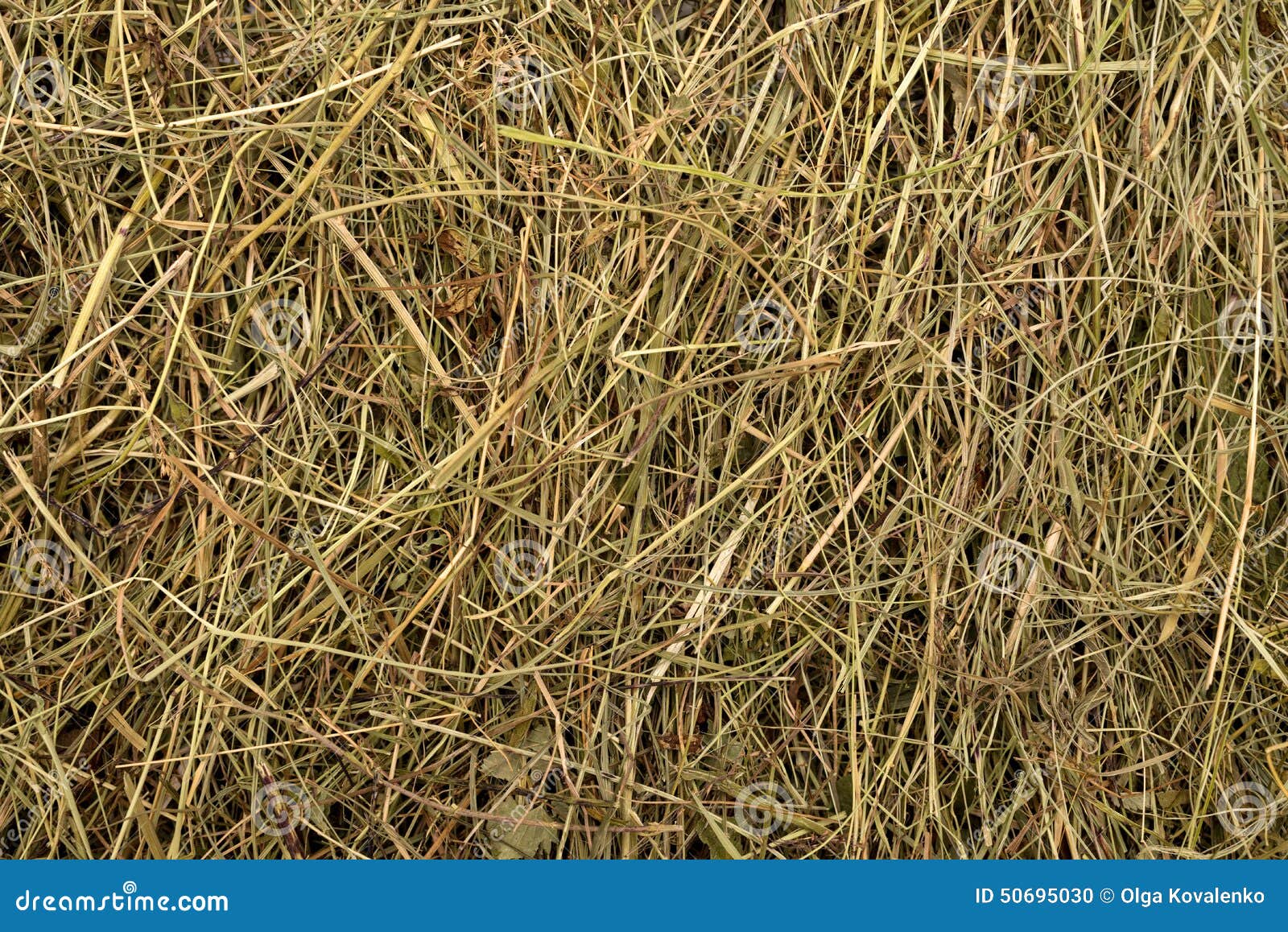 Golden Hay Texture Background Stock Photo - Image of pasture, yellow ...