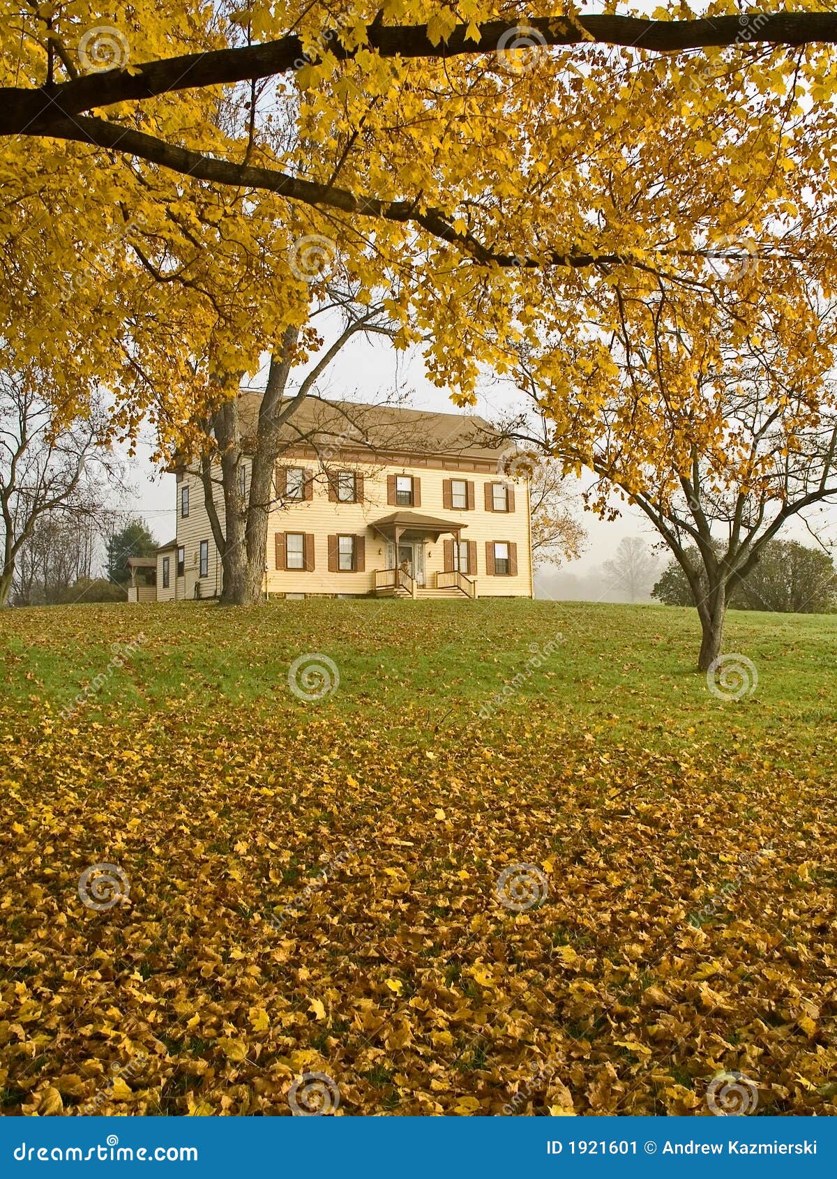 Golden Home stock image. Image of rural, jersey, colors - 1921601