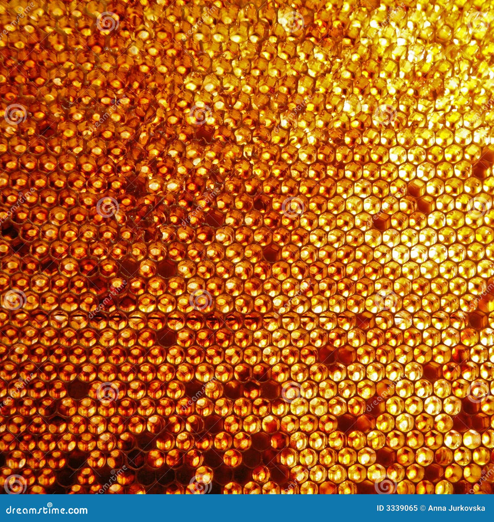 Golden honeycomb stock image. Image of macro, honey, natural - 3339065
