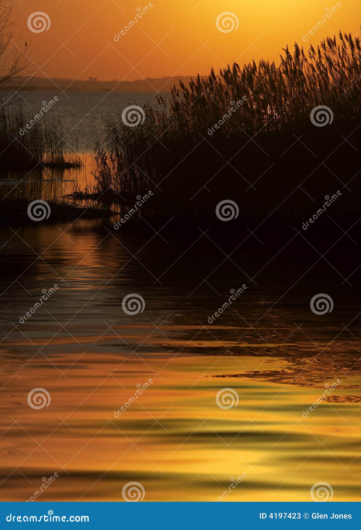 Golden hour stock image. Image of sound, water, nature - 4197423