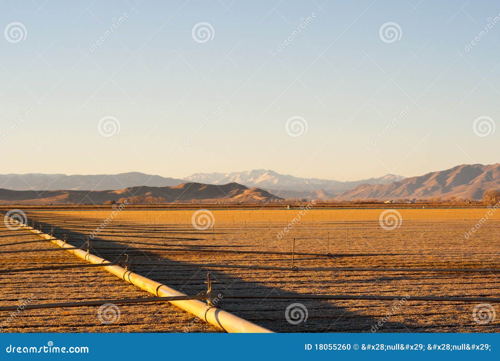 Golden Hour on the Farm stock photo. Image of nature - 18055260