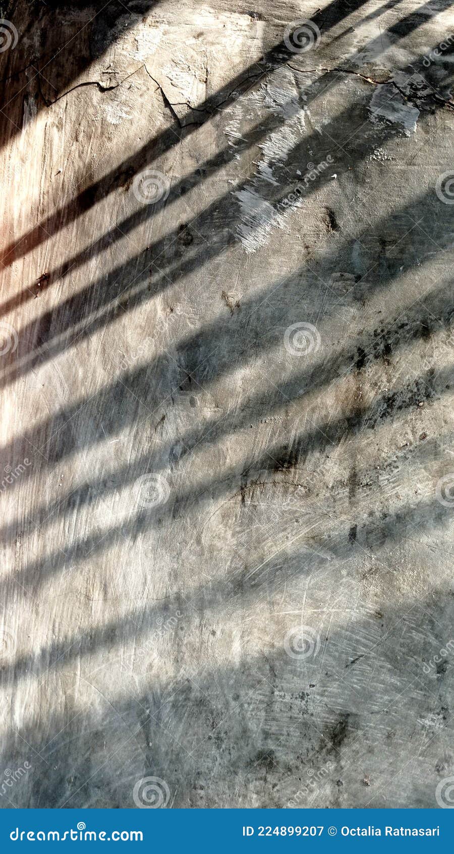 Golden Hour Grey Wall in the Afternoon Stock Image - Image of portrait ...