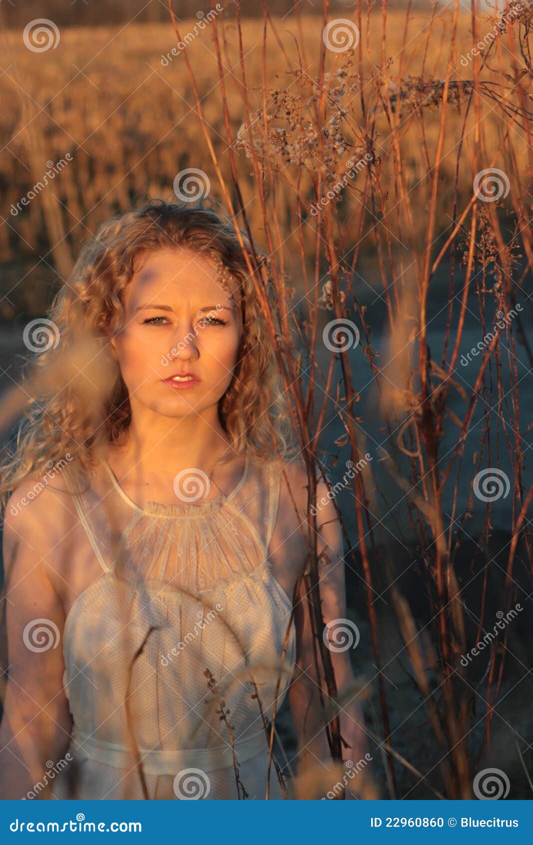 Golden Hour Portrait stock photo. Image of wild, long - 22960860