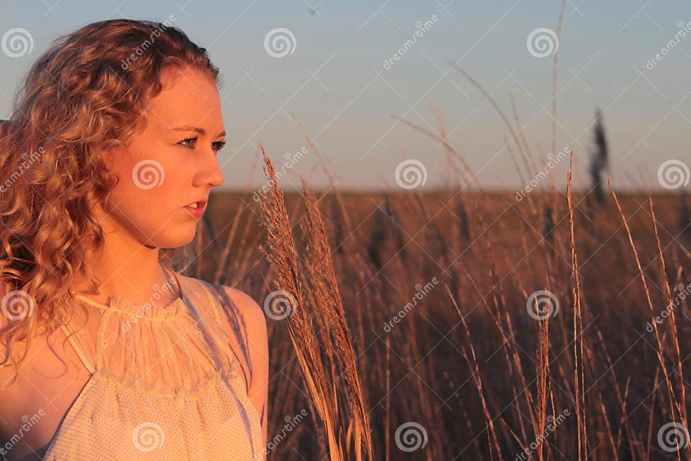 Golden Hour Portrait stock image. Image of life, short - 22960957