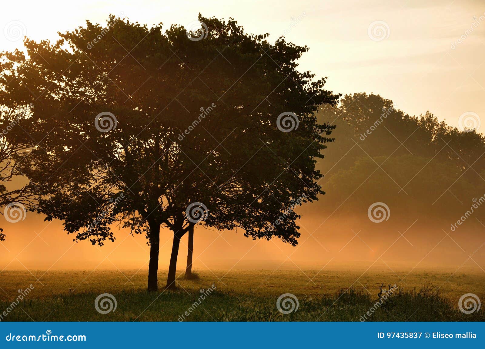 Golden hour serie stock image. Image of serie, landscape - 97435837