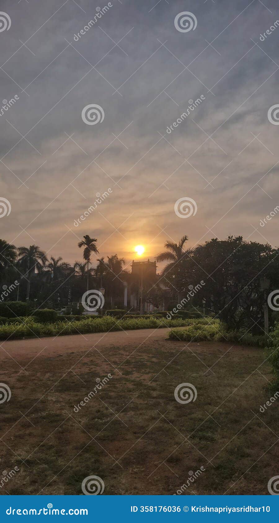 Doe Behind Trees Stock Image | CartoonDealer.com #46747