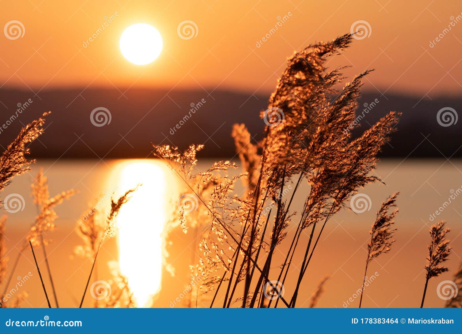 Golden Hour Sunset with Water Reflection Stock Photo - Image of ...