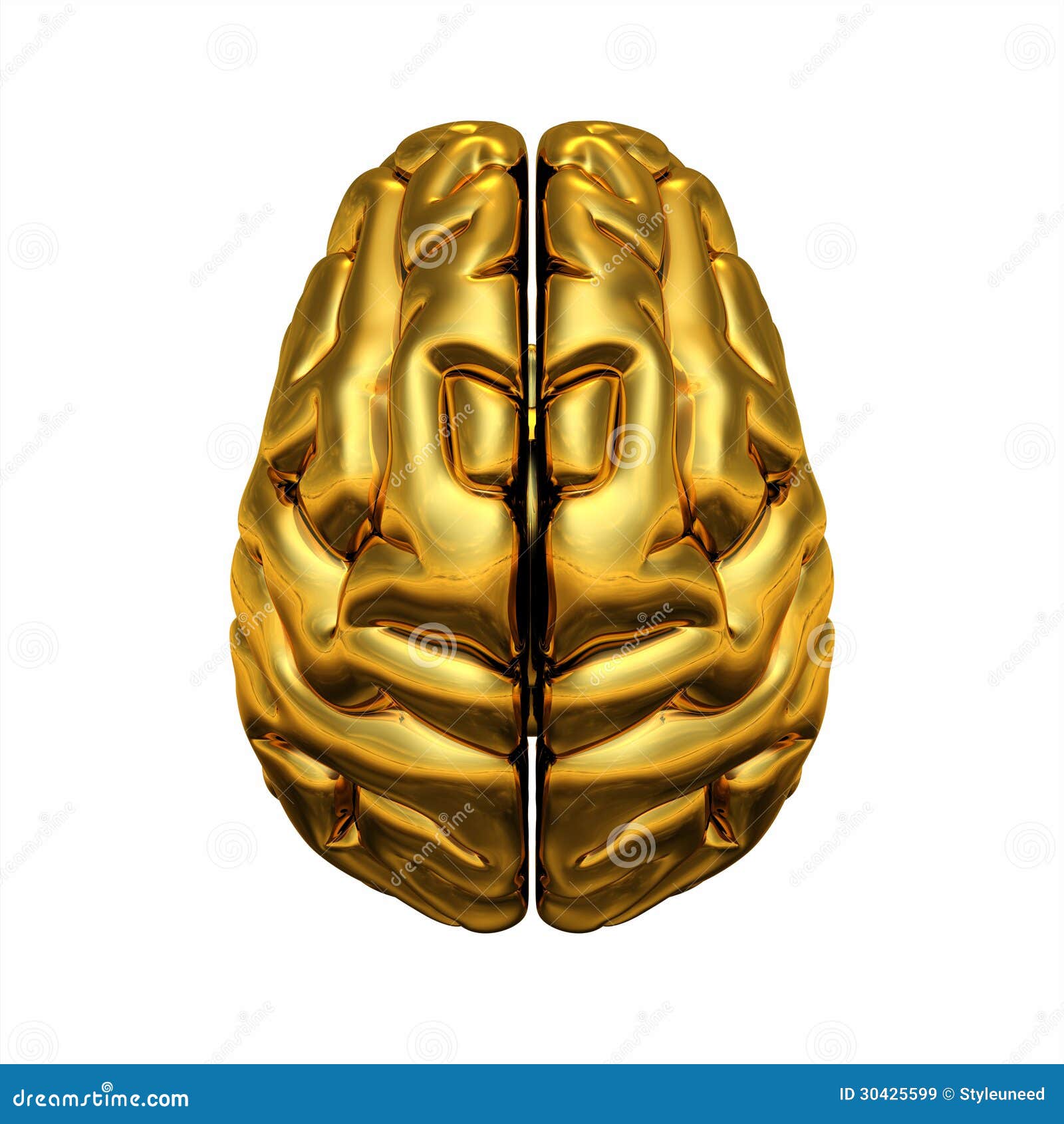 Golden human brain stock illustration. Illustration of cortex - 30425599