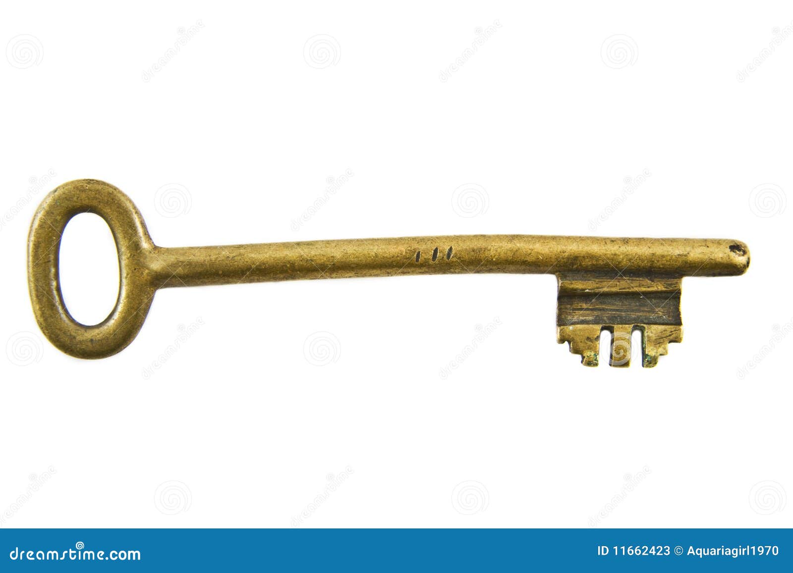 Golden key stock image. Image of gold, isolated, metal - 11662423
