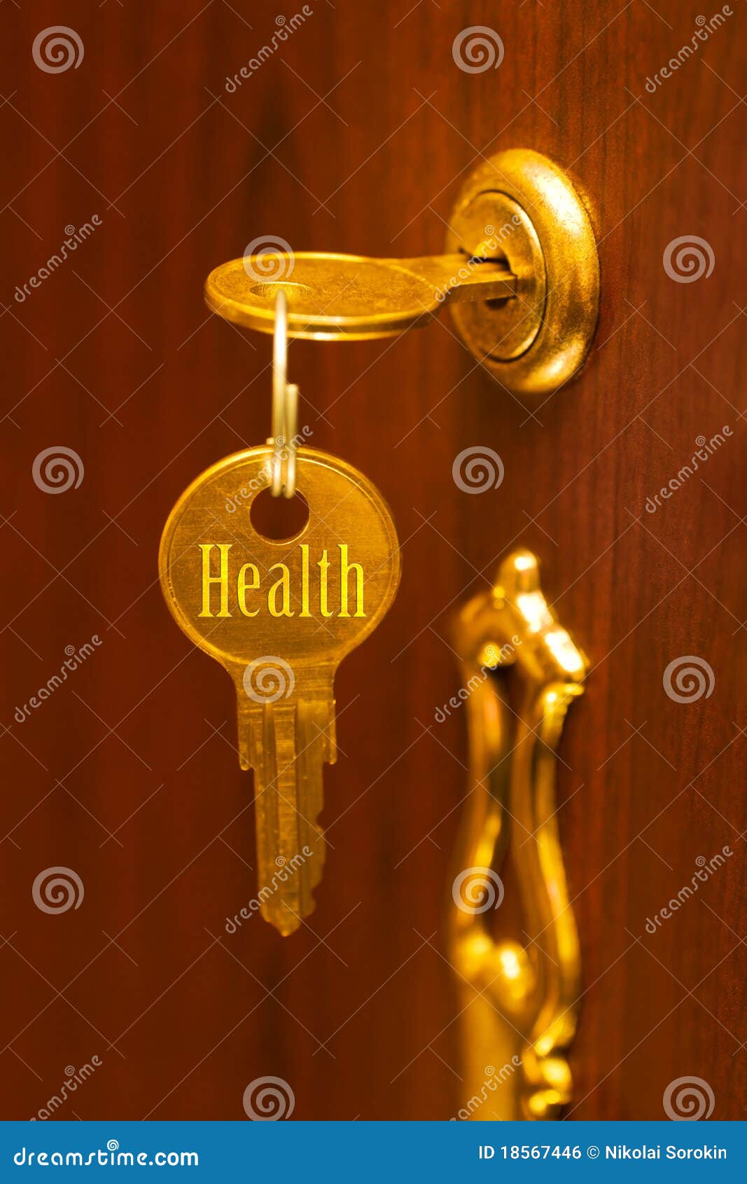 Golden key Health stock photo. Image of lock, health - 18567446