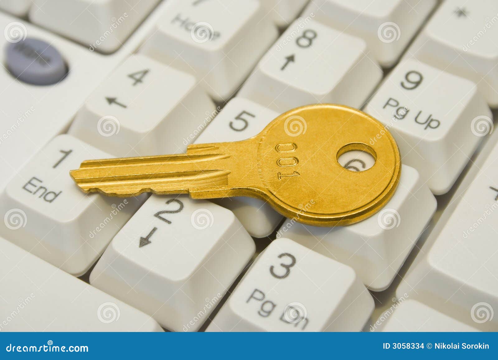 Golden key on keyboard stock photo. Image of encryption - 3058334