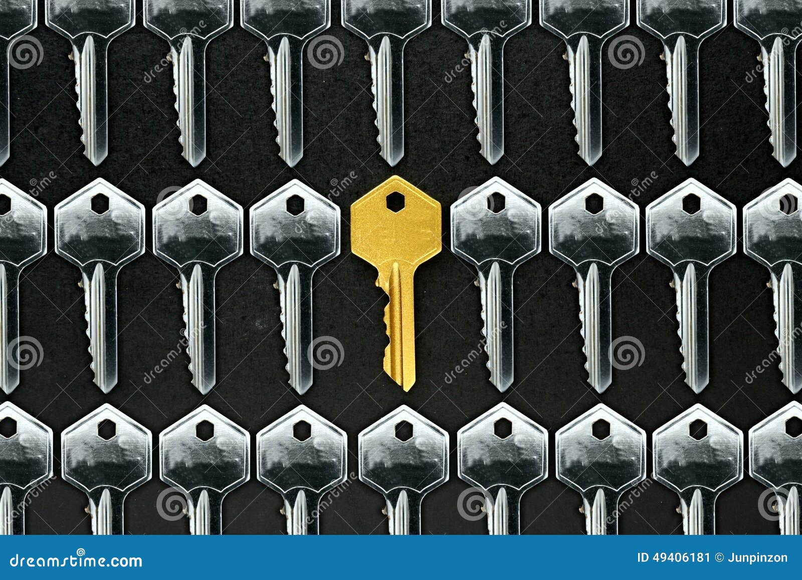 Golden Key among Ordinary Keys Stock Image - Image of financial ...