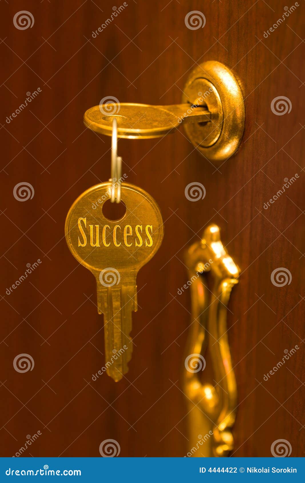 Golden key Success stock photo. Image of occupation, door - 4444422
