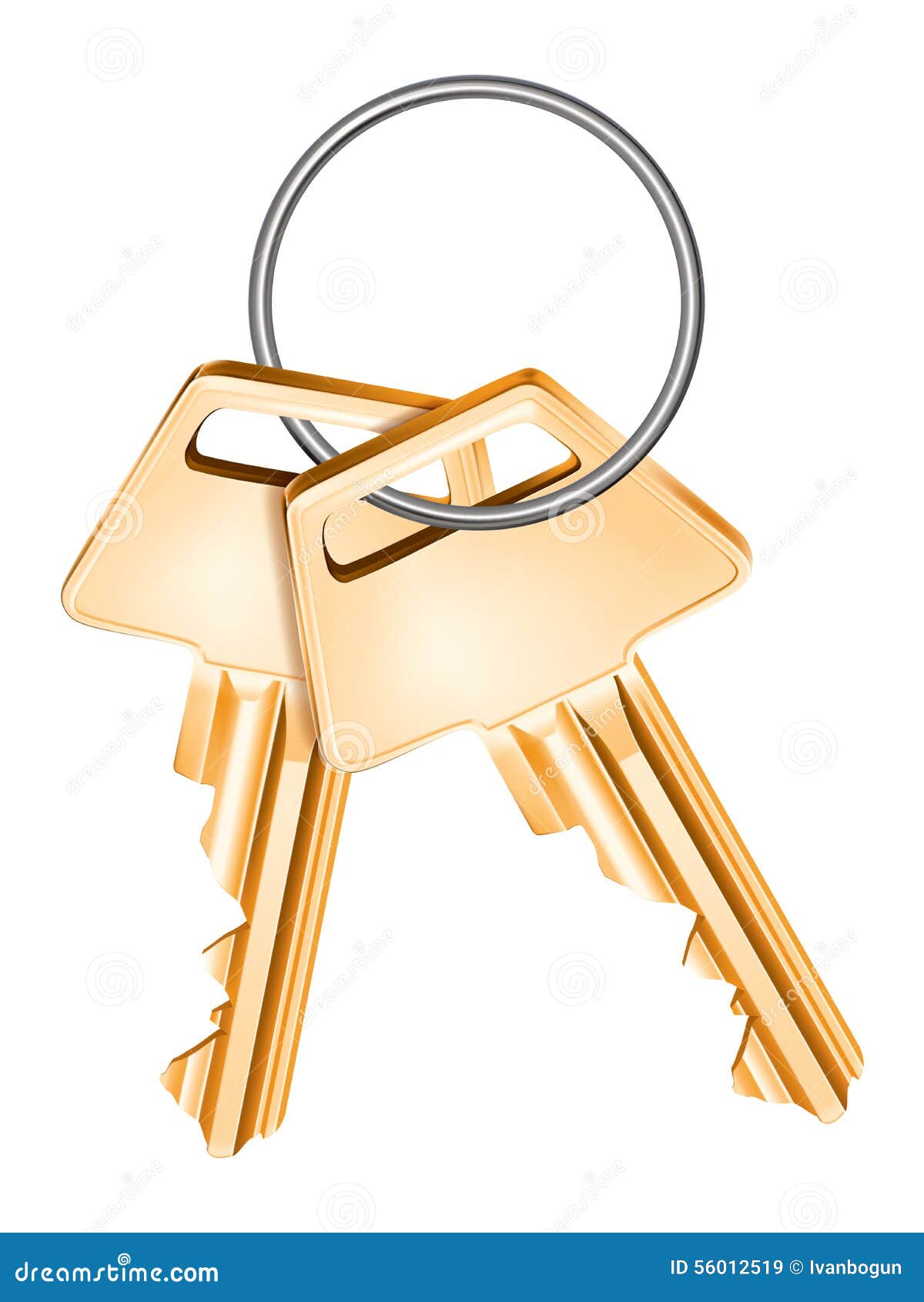 Golden keys, isolated. stock vector. Illustration of metallic - 56012519