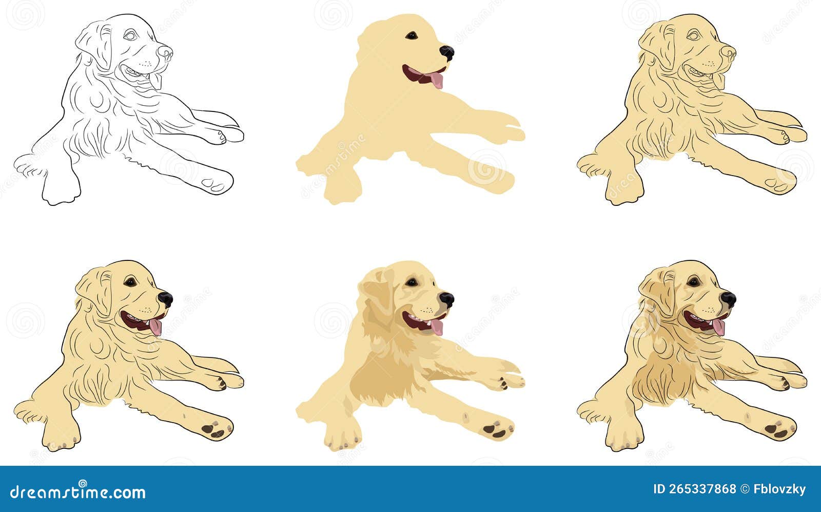 Golden Labrador Retriever, Several Options for Drawing, Image on a ...
