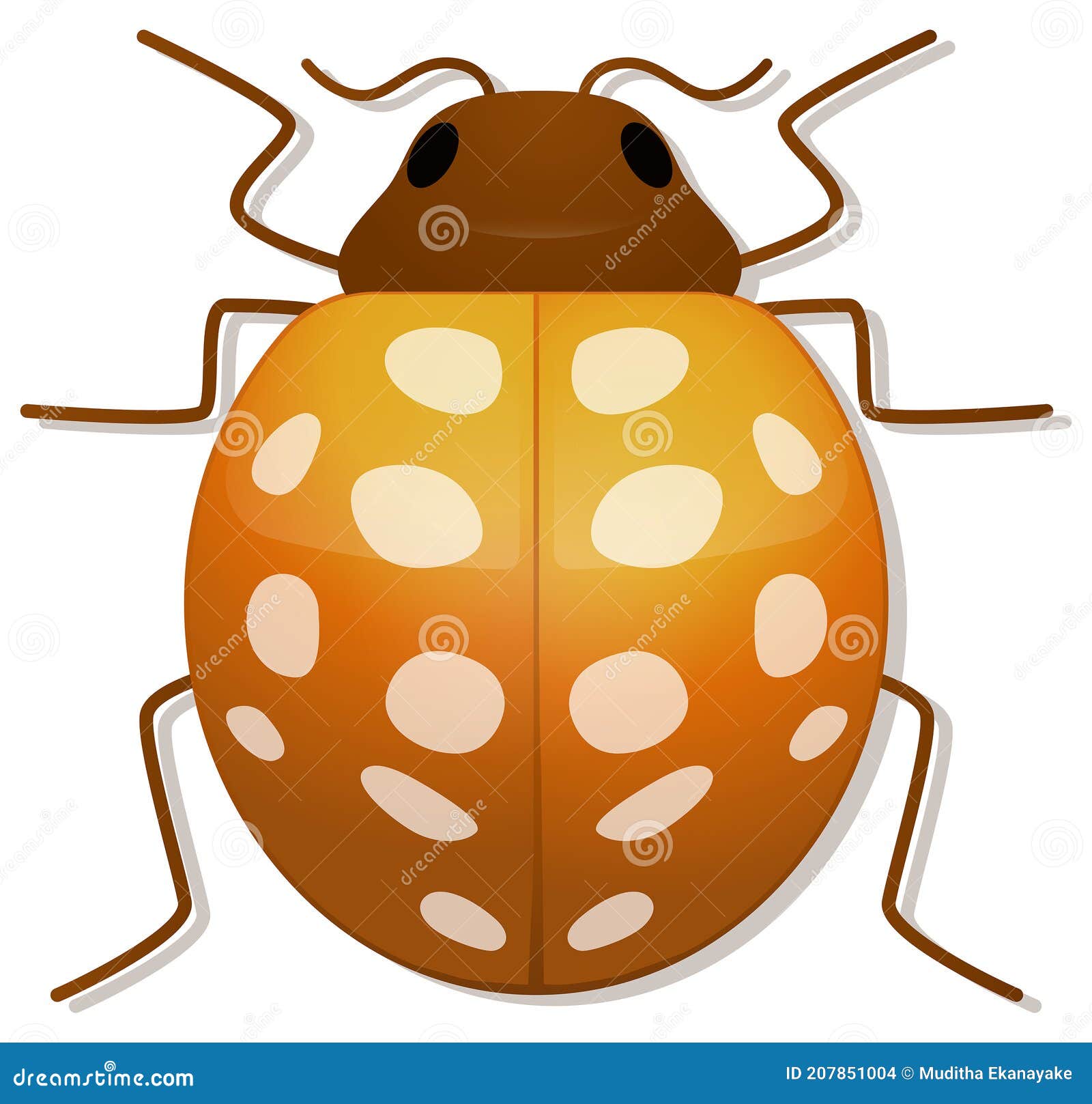 Golden lady bug top view stock vector. Illustration of close - 207851004