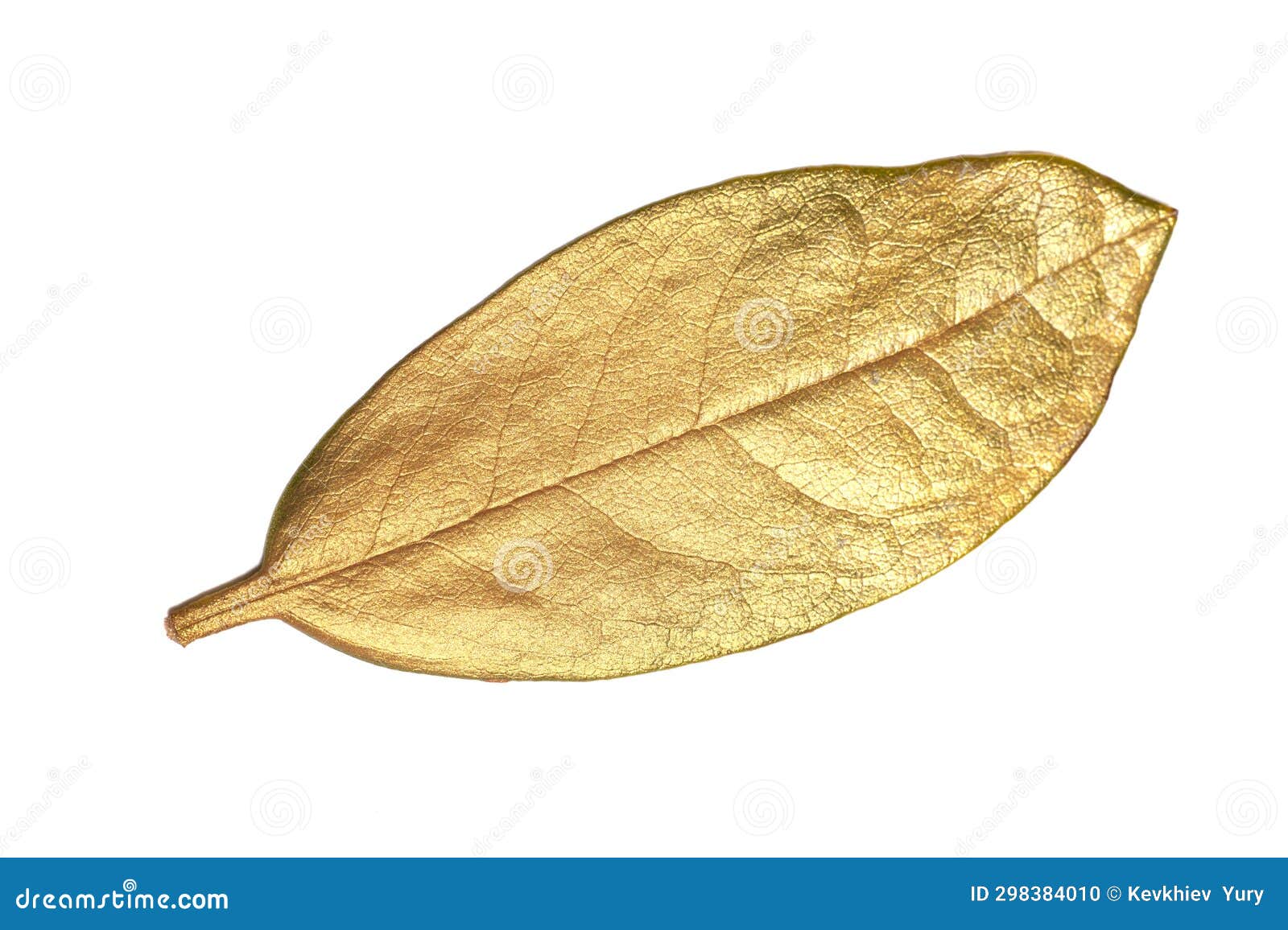 Golden Leaf Design Elements Isolated on White Background. Stock Photo ...