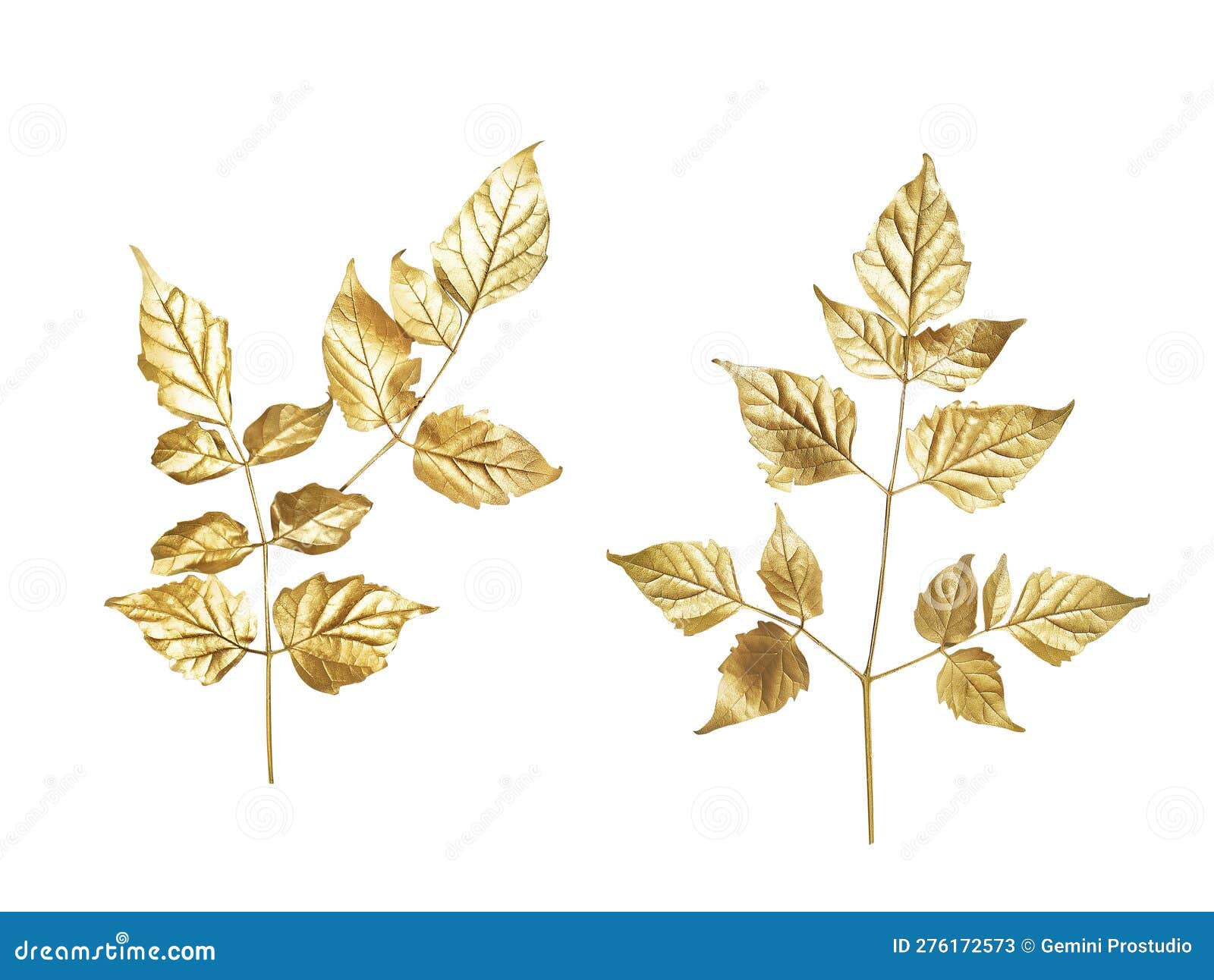 Golden Leaf Isolated on White Background, Gold Leaf. Stock Image ...