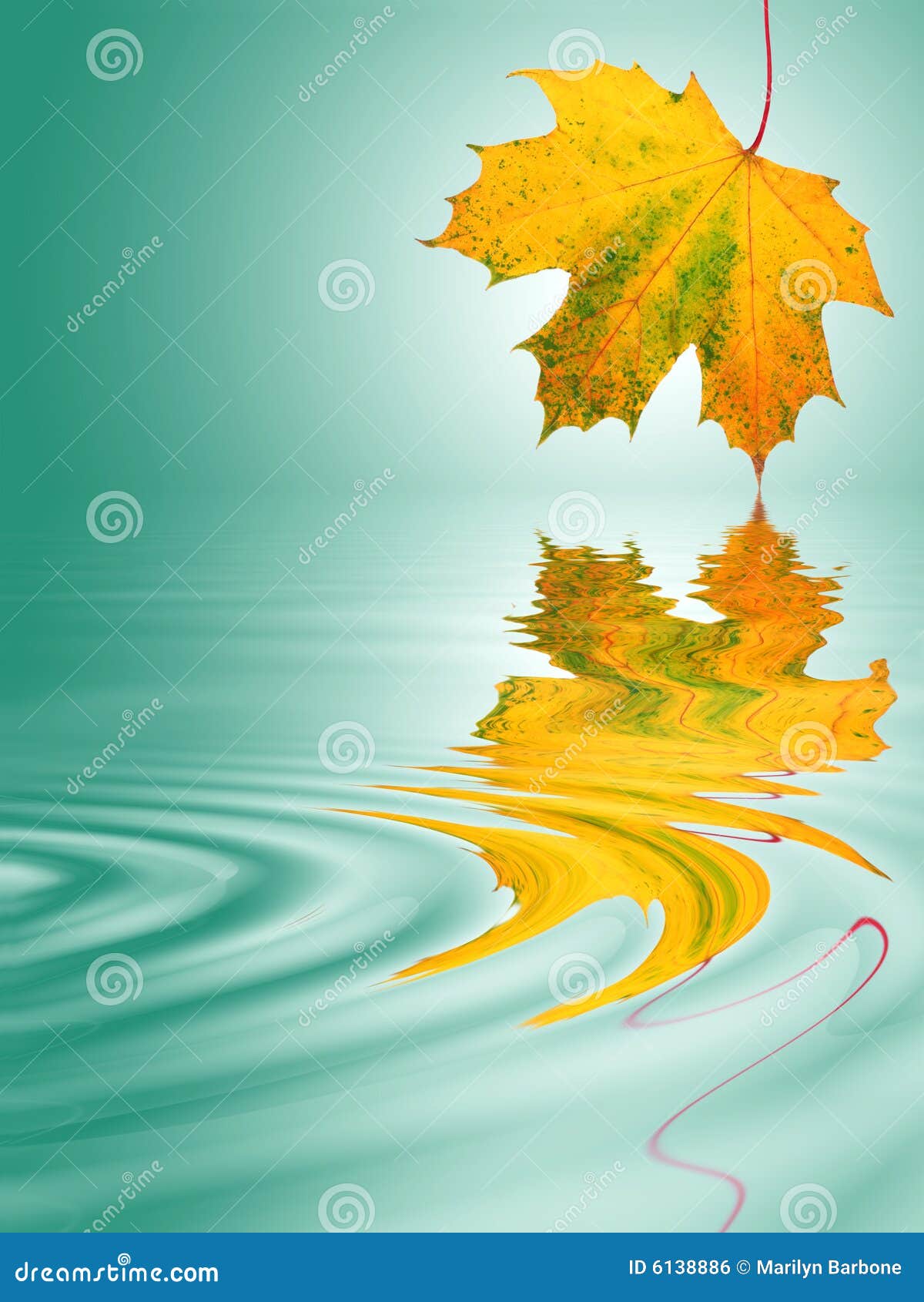 Golden Leaf Movement stock photo. Image of glowing, reflection - 6138886