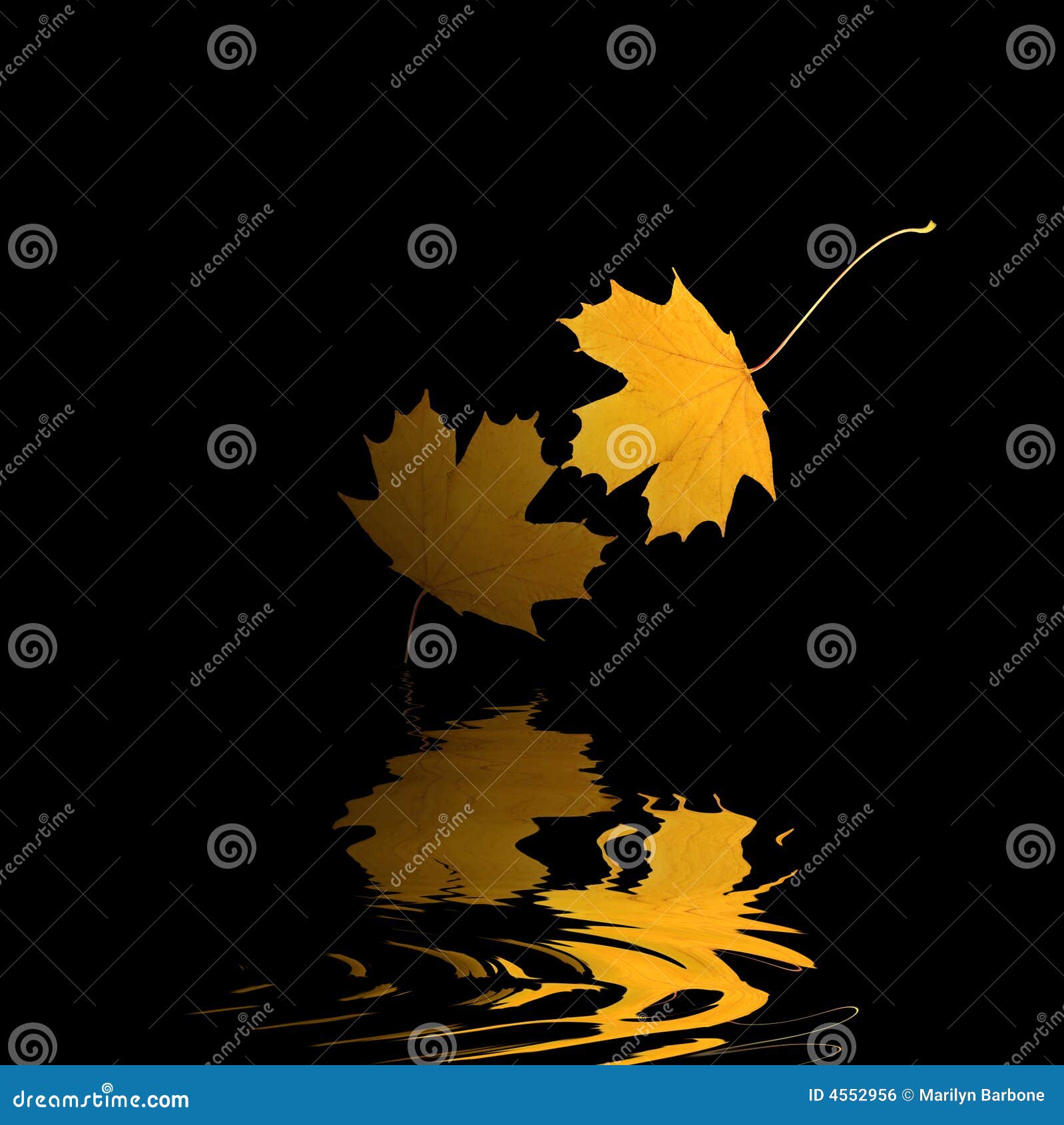 Golden Leaf Reflection stock illustration. Illustration of backgrounds ...