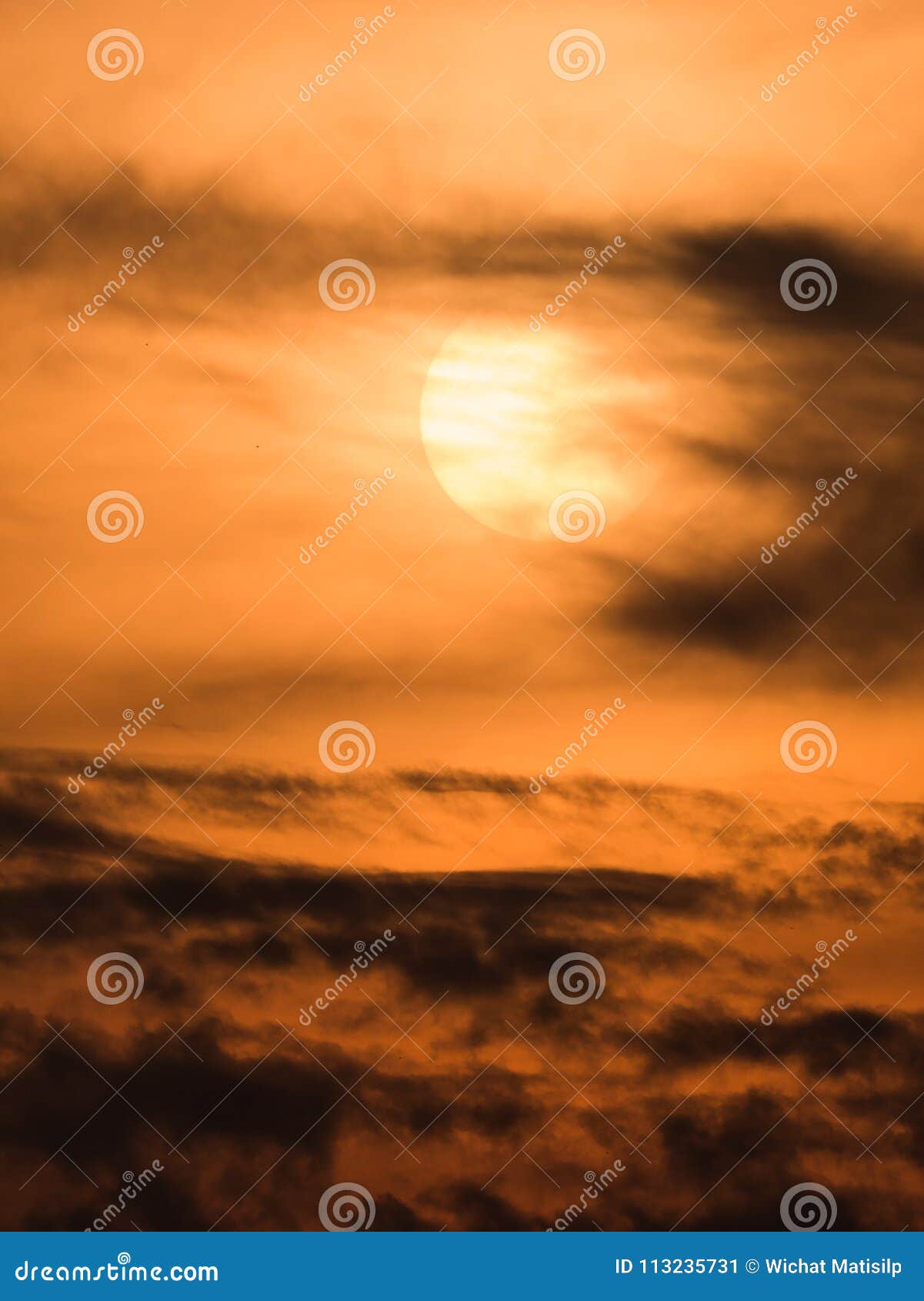 Golden Light of the Morning Sun Stock Image - Image of golden, yellow ...