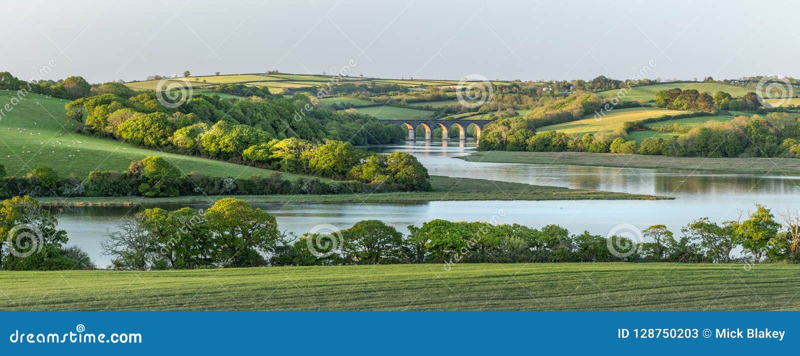 Golden Light Over the Notter Viaduct, River Lynher, Cornwall Stock ...