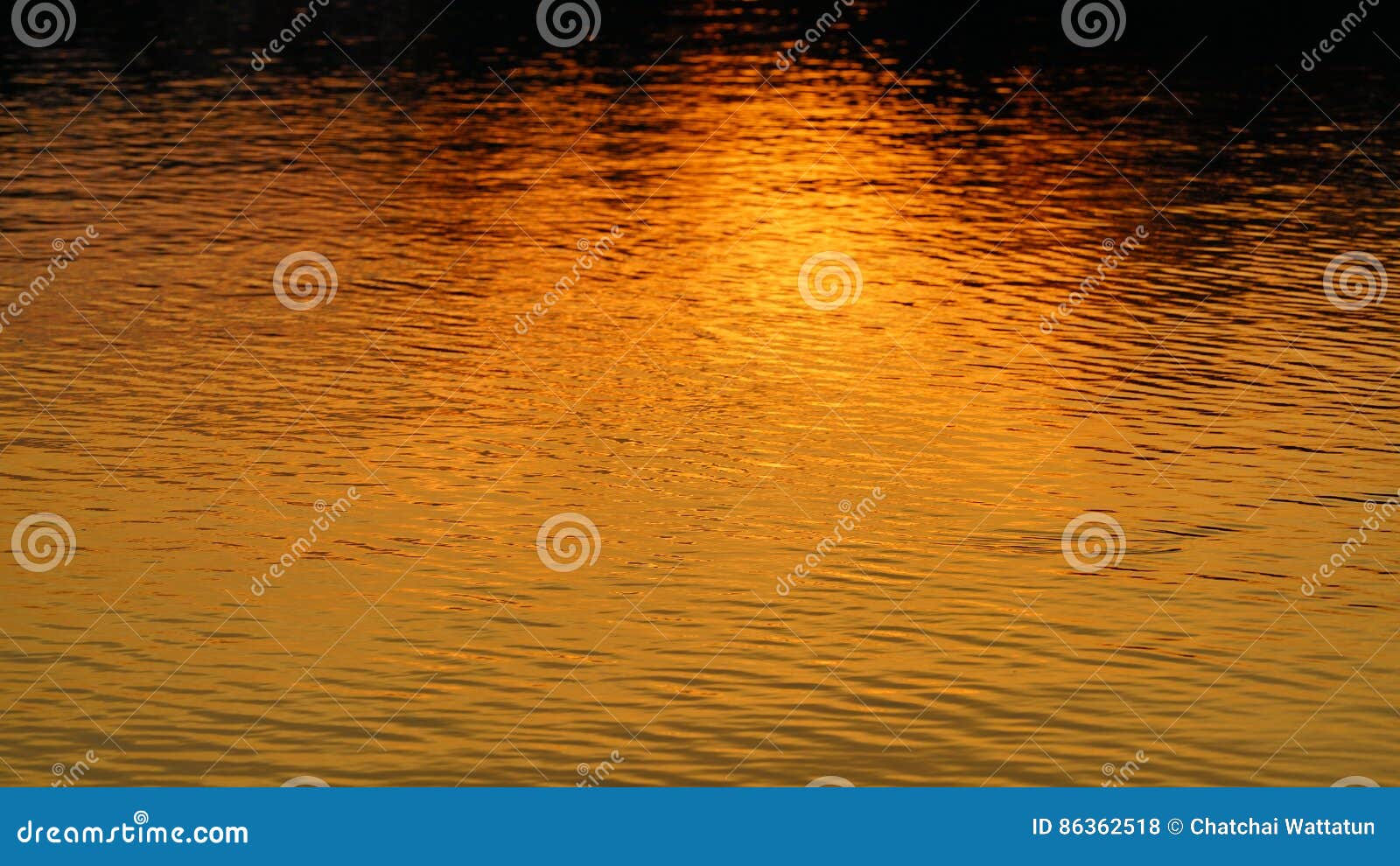 Golden Light Reflection in the River. Stock Photo - Image of sunny ...