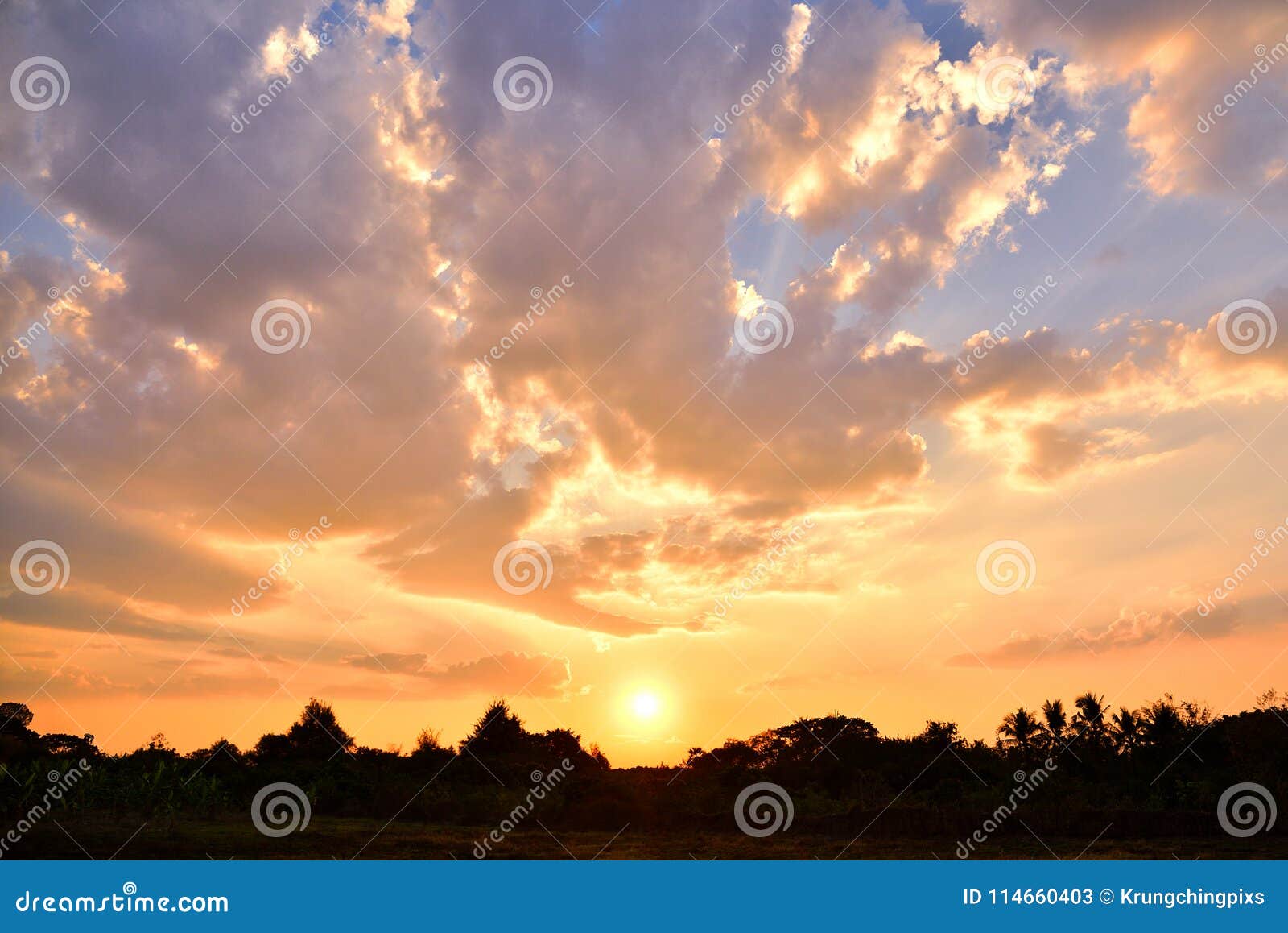 Golden Light on Sky during Sunset. Stock Image - Image of color, golden ...