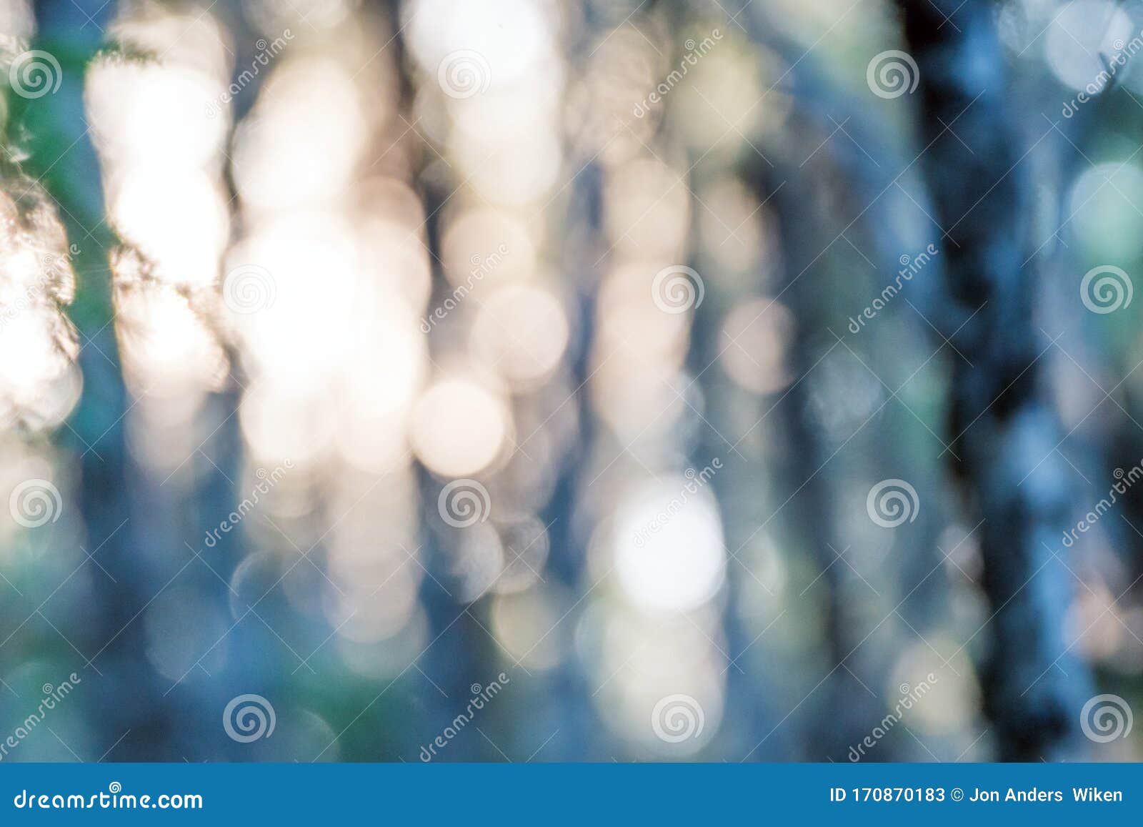 Golden Light during Sunset Hours in Forest, Abstract Photography. Bokeh ...