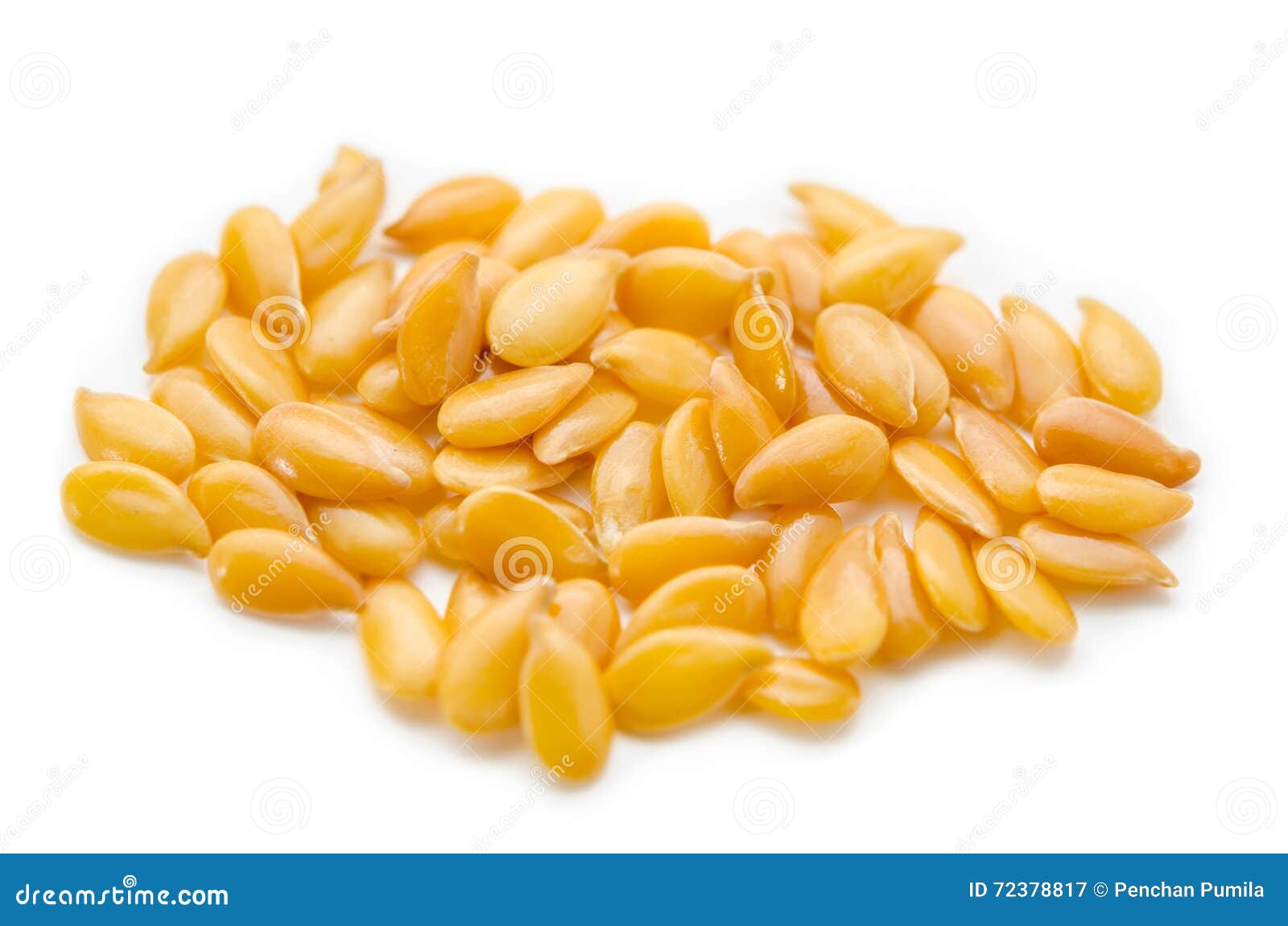 Golden Linseed or Flax Seeds. Stock Image - Image of common, cereal ...