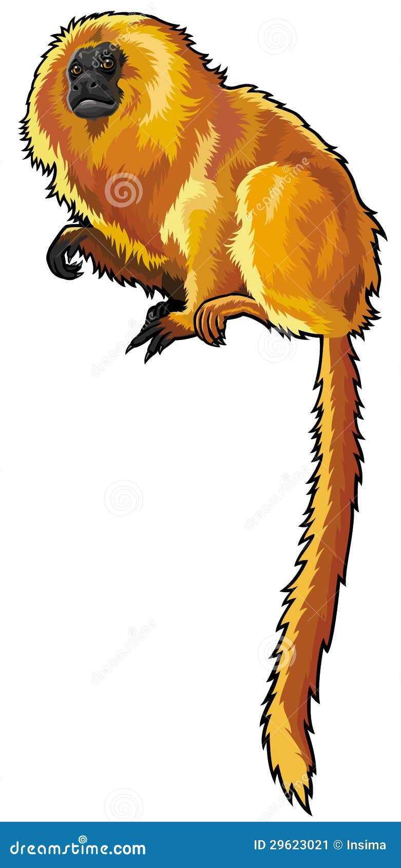 Tamarin Cartoons, Illustrations & Vector Stock Images - 1623 Pictures ...