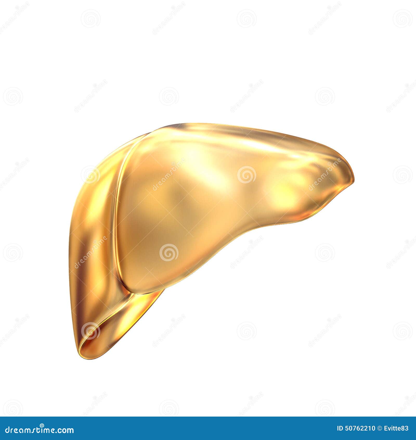 Golden Liver Stock Illustrations – 494 Golden Liver Stock Illustrations ...