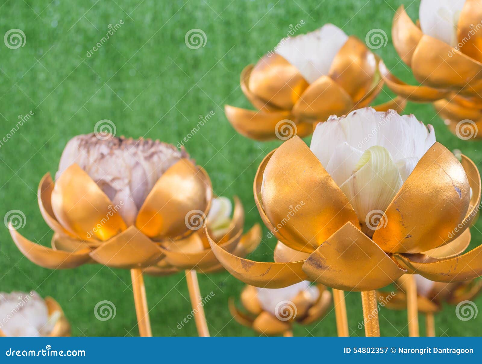 Golden Lotus Tank And Gopurams Meenakshi Amman Temple Is A Historic ...