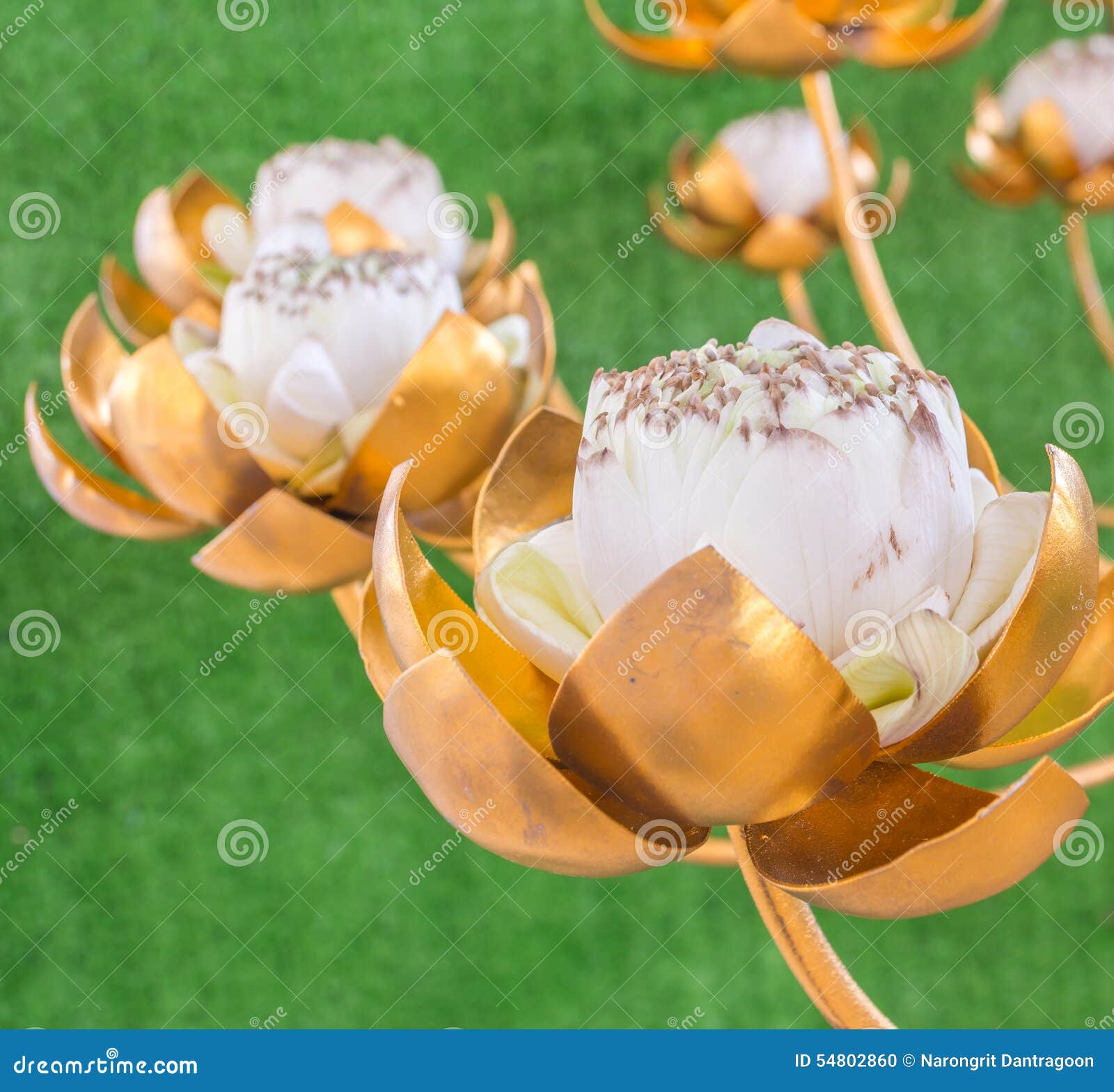 Golden lotus stock photo. Image of majestic, emblem, leaf - 54802860