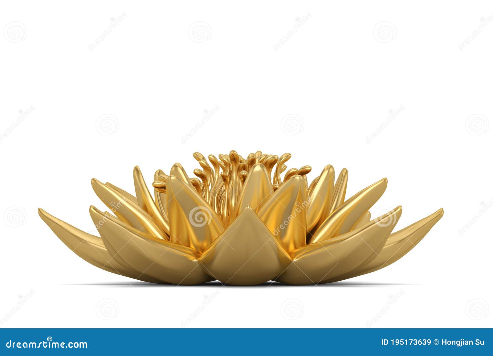 A Golden Lotus Isolated on White Background, 3D Render. 3D Illustration ...