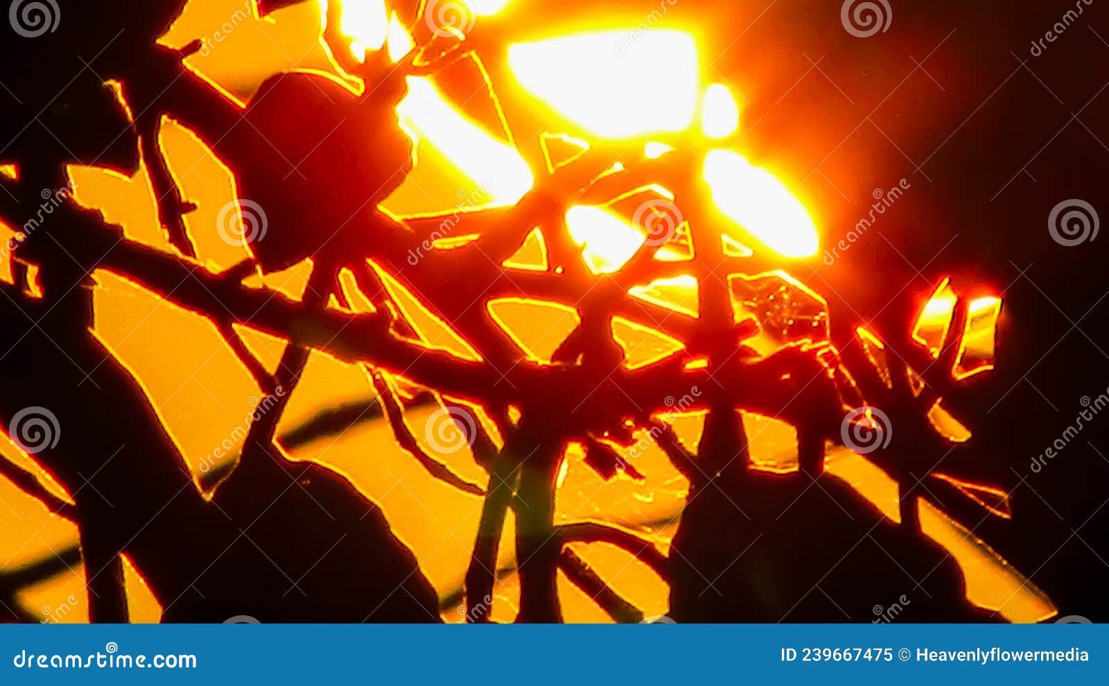 The Golden Magic of Sunlight Stock Image - Image of number, golden ...