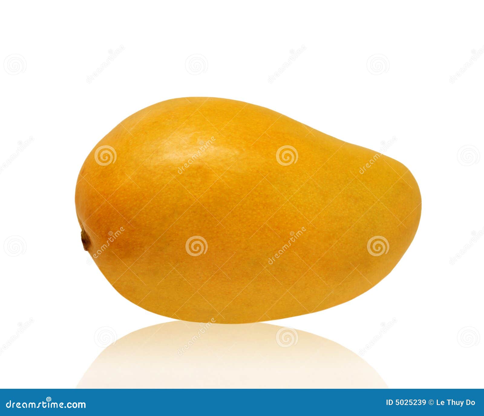 Golden Mango Royalty Free Stock Images - Image: 5025239