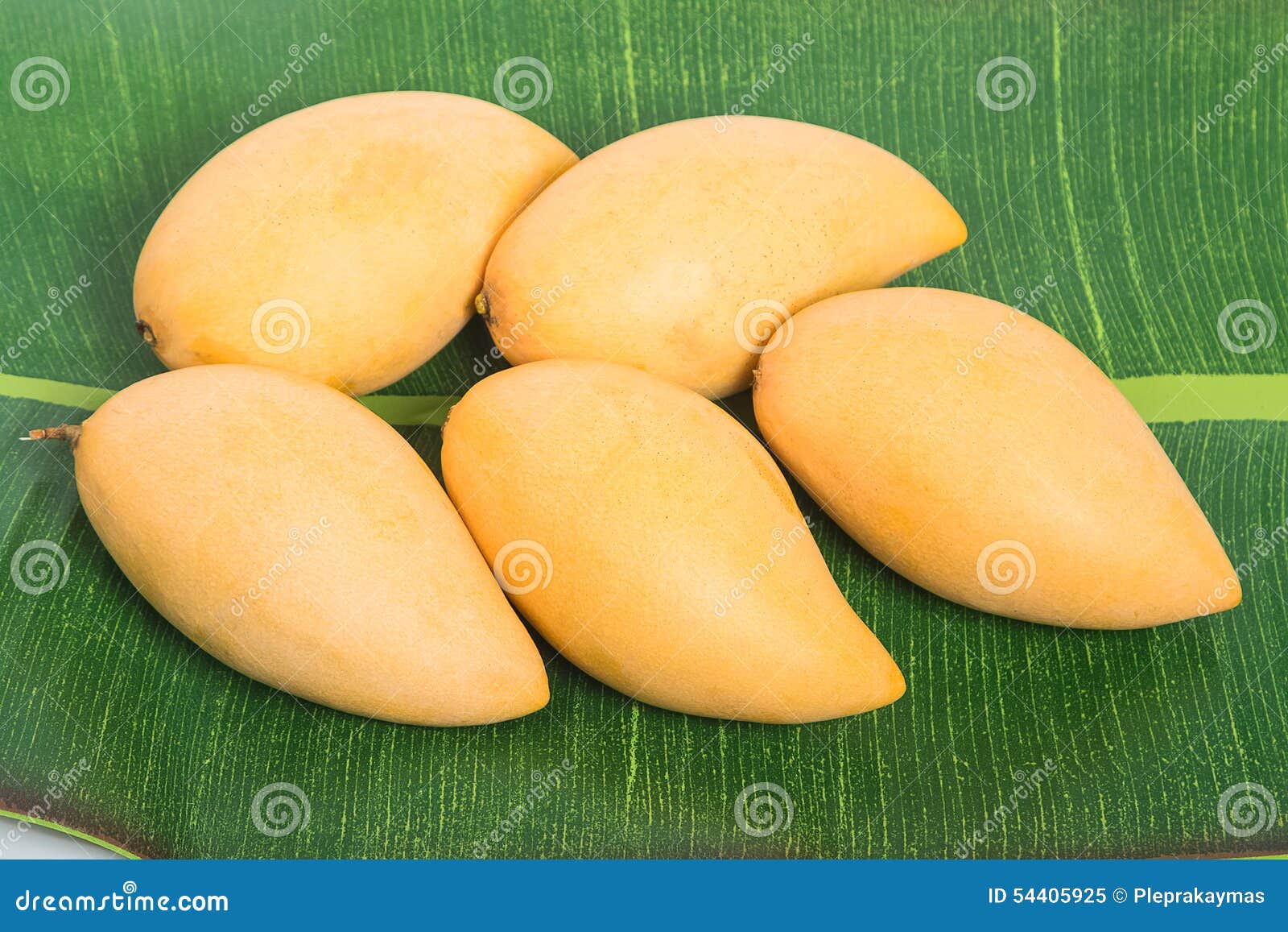 Golden Mango fruit stock image. Image of asian, dessert - 54405925