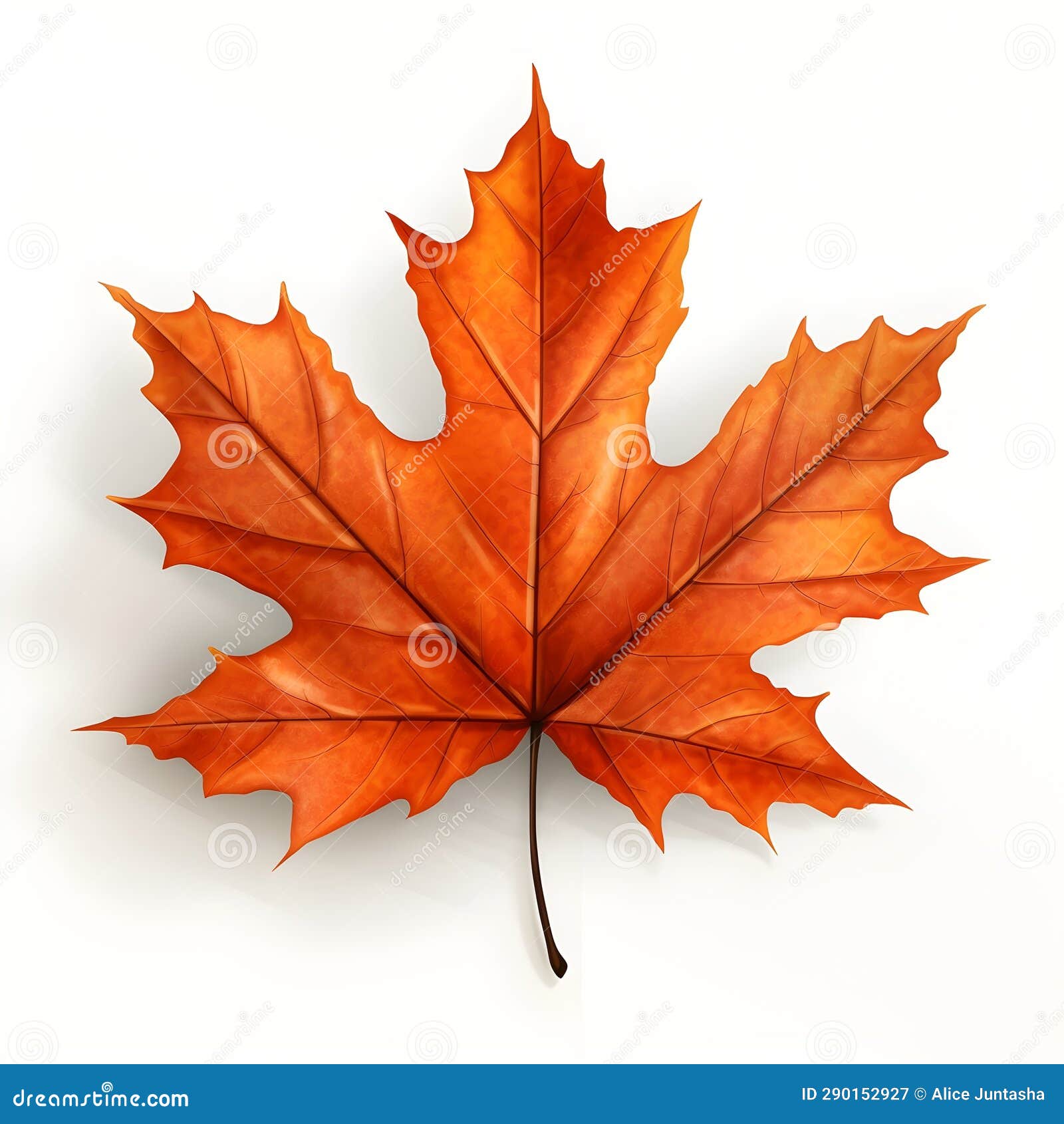 A golden maple leaf stock illustration. Illustration of vibrant - 290152927