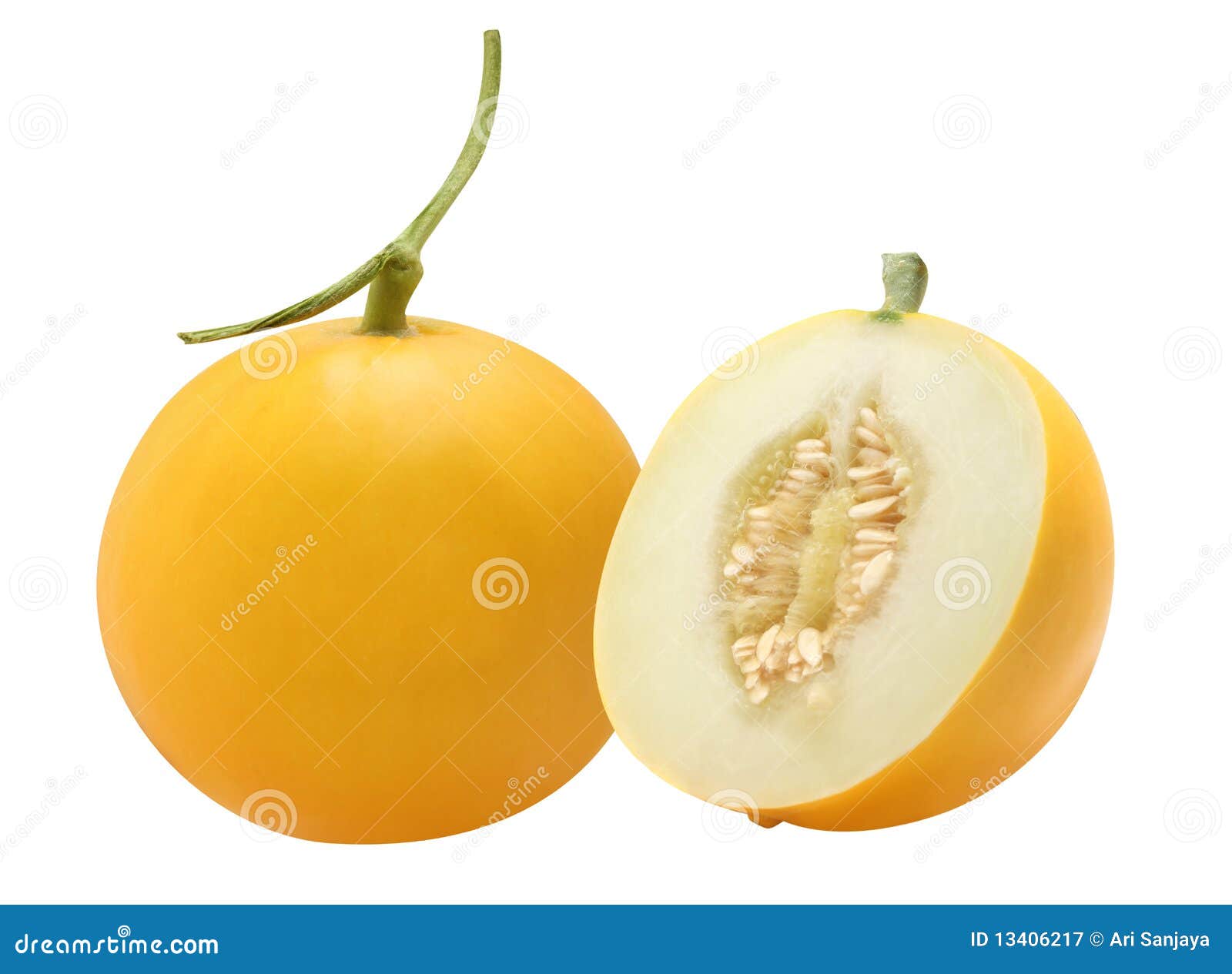 Golden melon stock image. Image of sweet, agriculture - 13406217