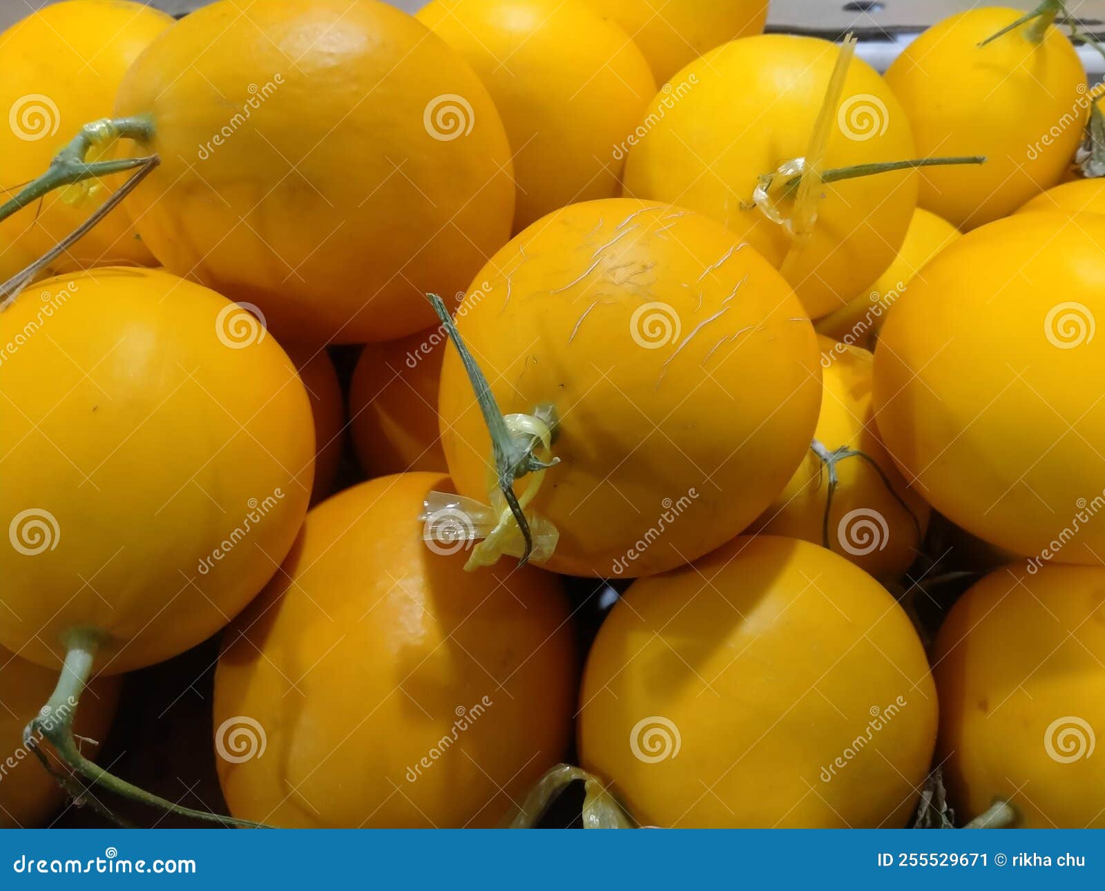 Golden Melon at Fruit Market Stock Image - Image of berry, strawberry ...