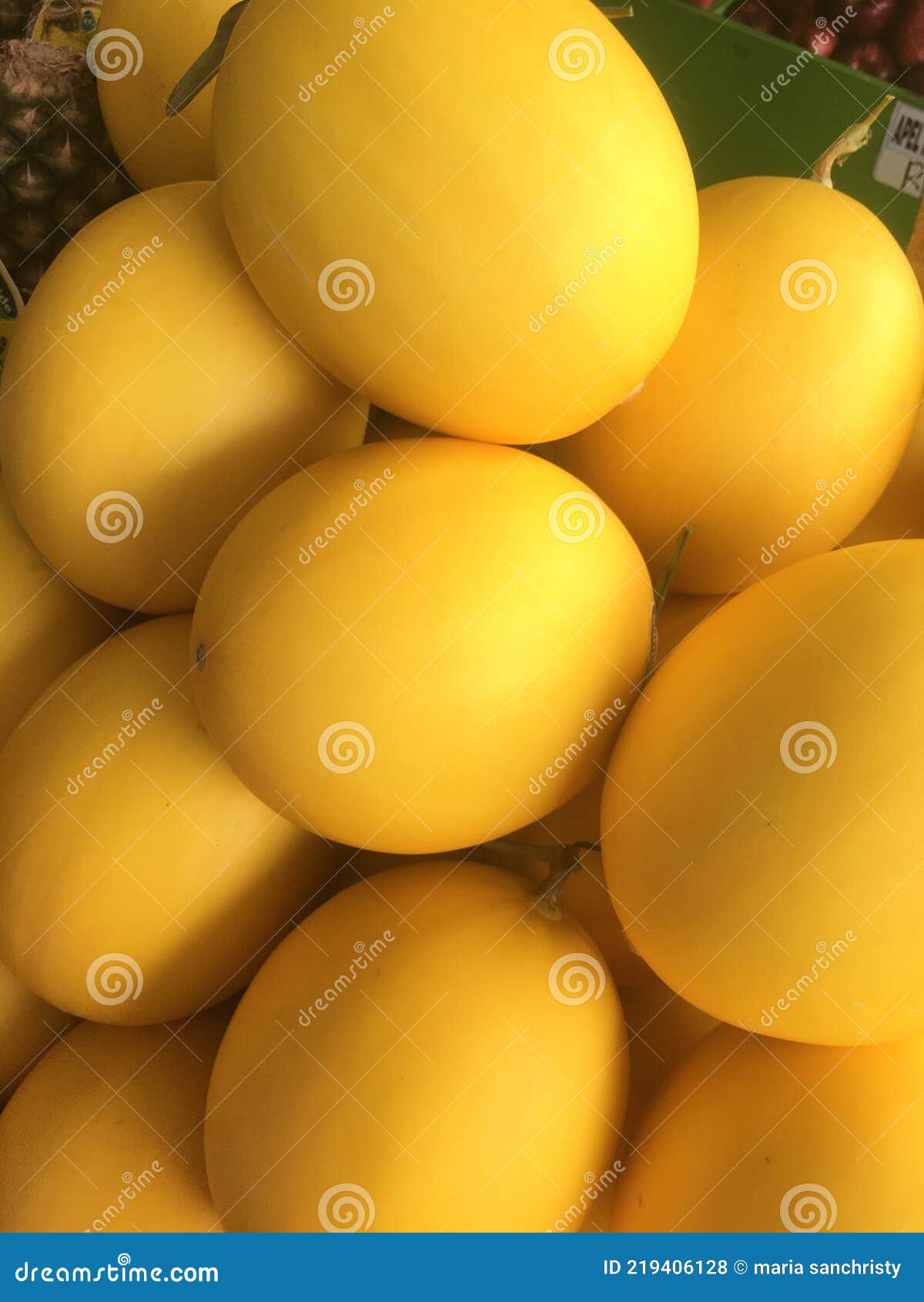 Golden Melon stock photo. Image of golden, fruits, summertime - 219406128