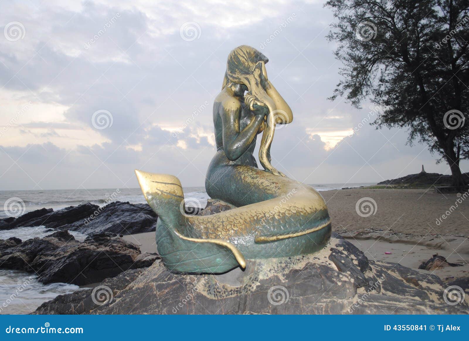 The golden mermaid stock image. Image of mermaid, fish - 43550841
