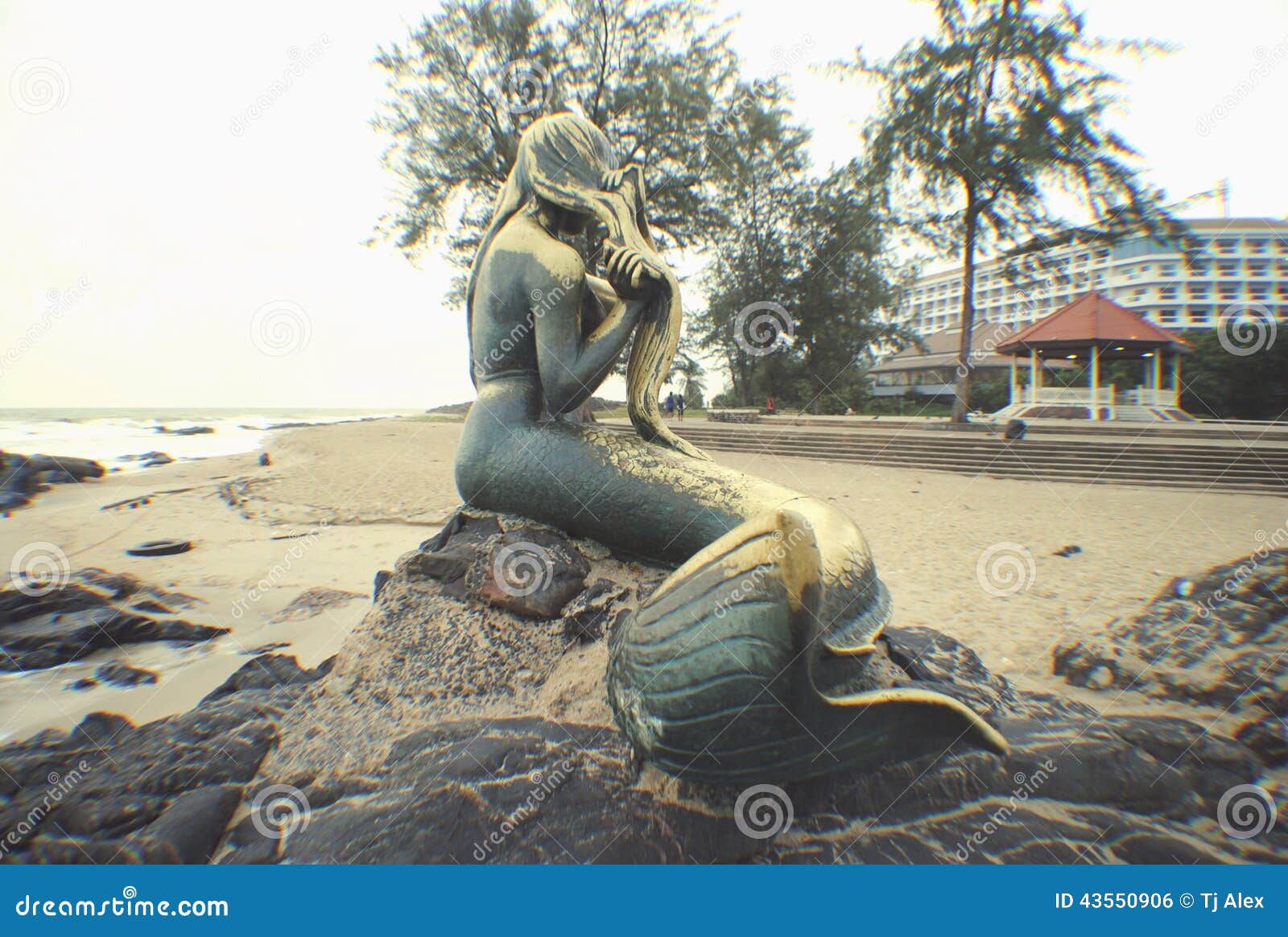 The golden mermaid stock photo. Image of golden, fish - 43550906